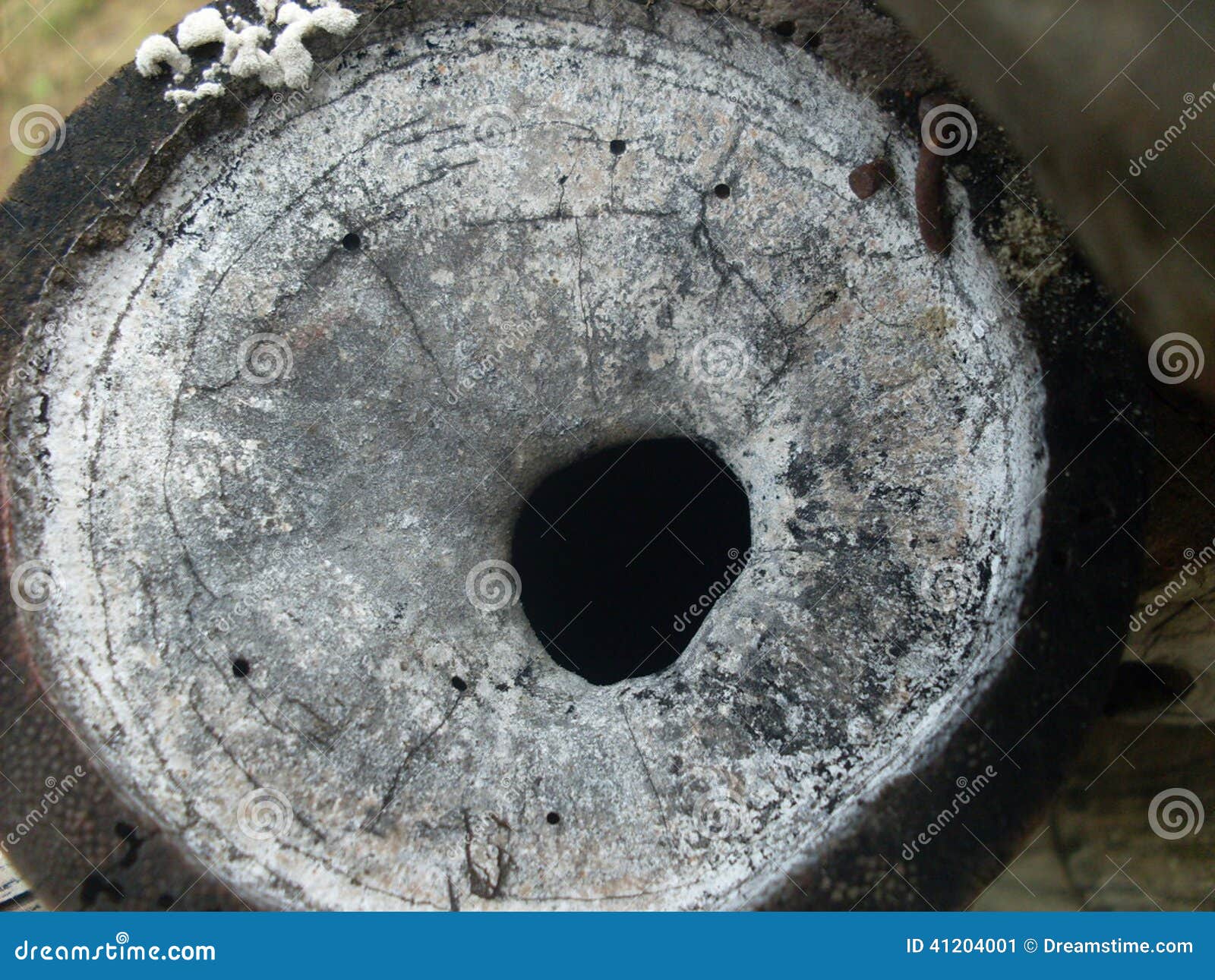 Bamboo Hole Texture Background. Royalty-Free Stock Image ...