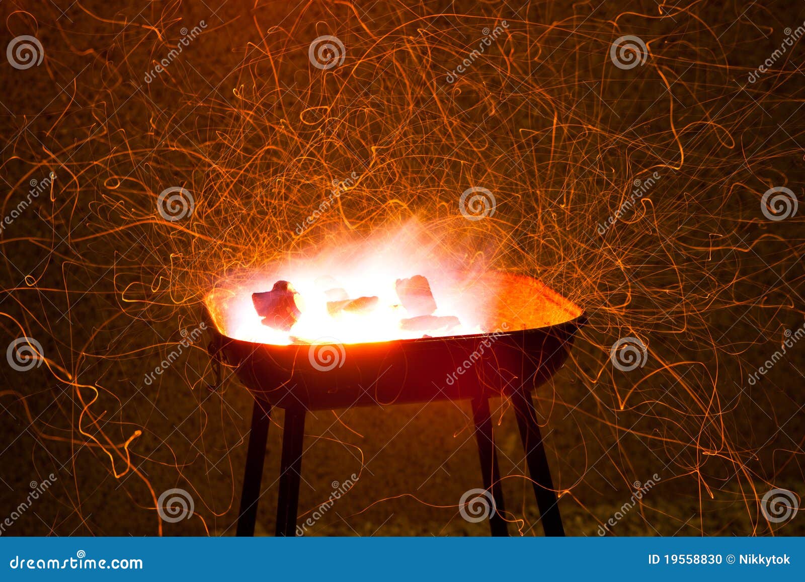 Burning barbecue grill stock photo. Image of food, fire - 19558830