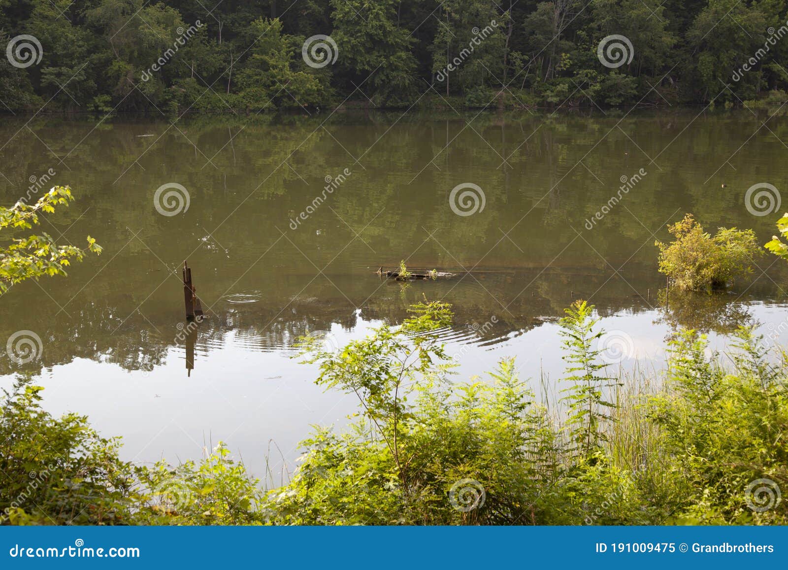 Shipwrecks in Mallows Bay, Maryland Stock Image - Image of nature ...