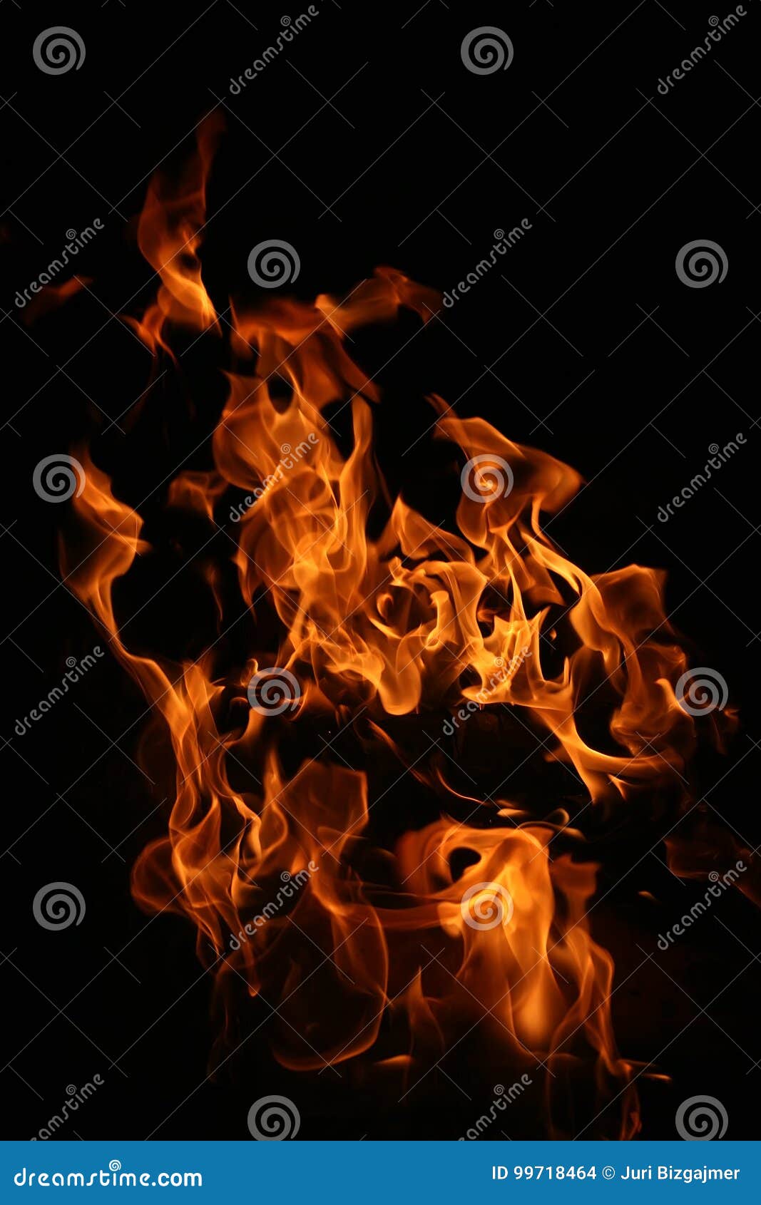 Burning birch firewood stock photo. Image of life, black - 99718464