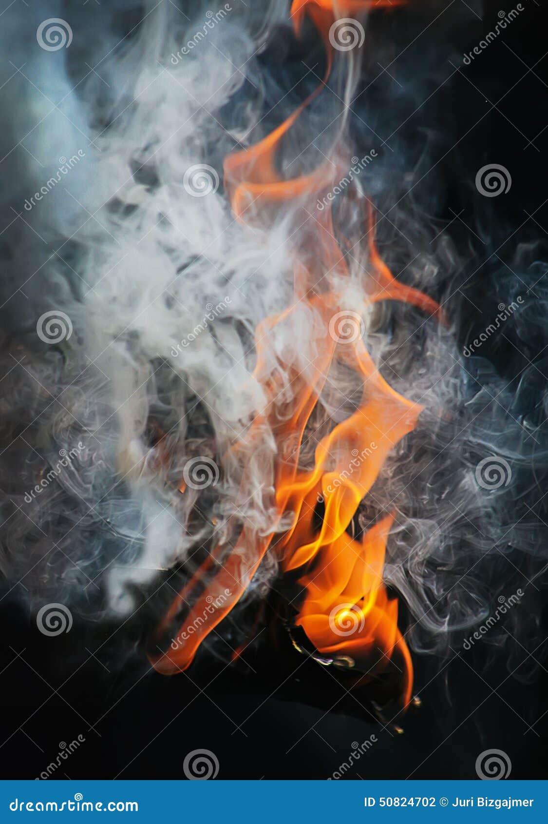 Burning birch firewood stock photo. Image of camping - 50824702