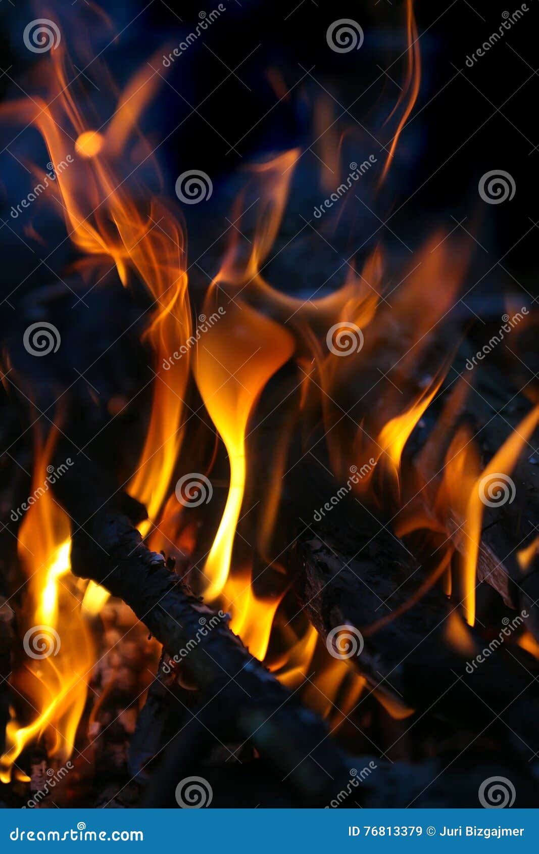 Burning birch firewood stock image. Image of fire, heat - 76813379