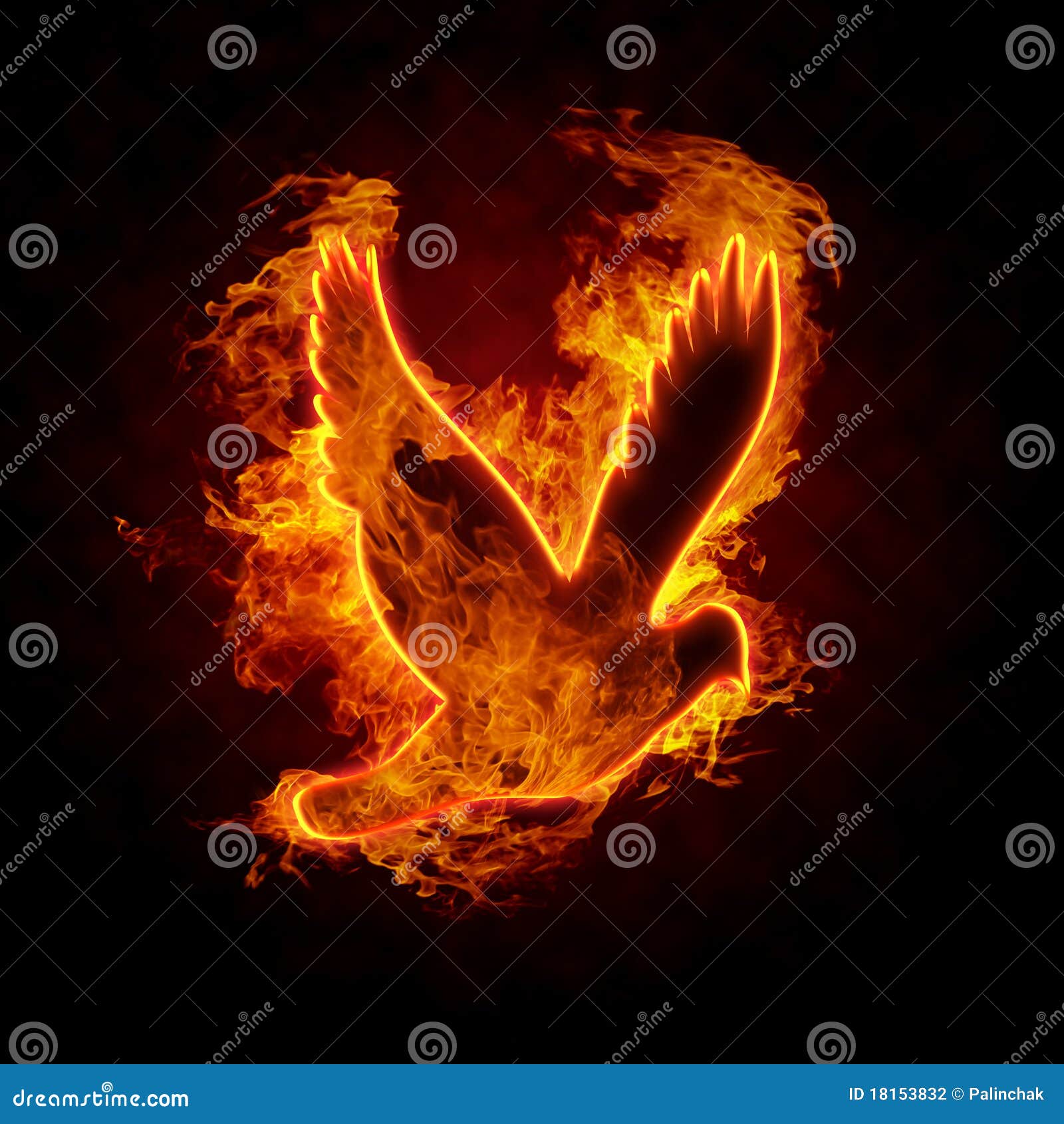 Burning Bird stock photo. Image of fire, abstract, glow - 18153832