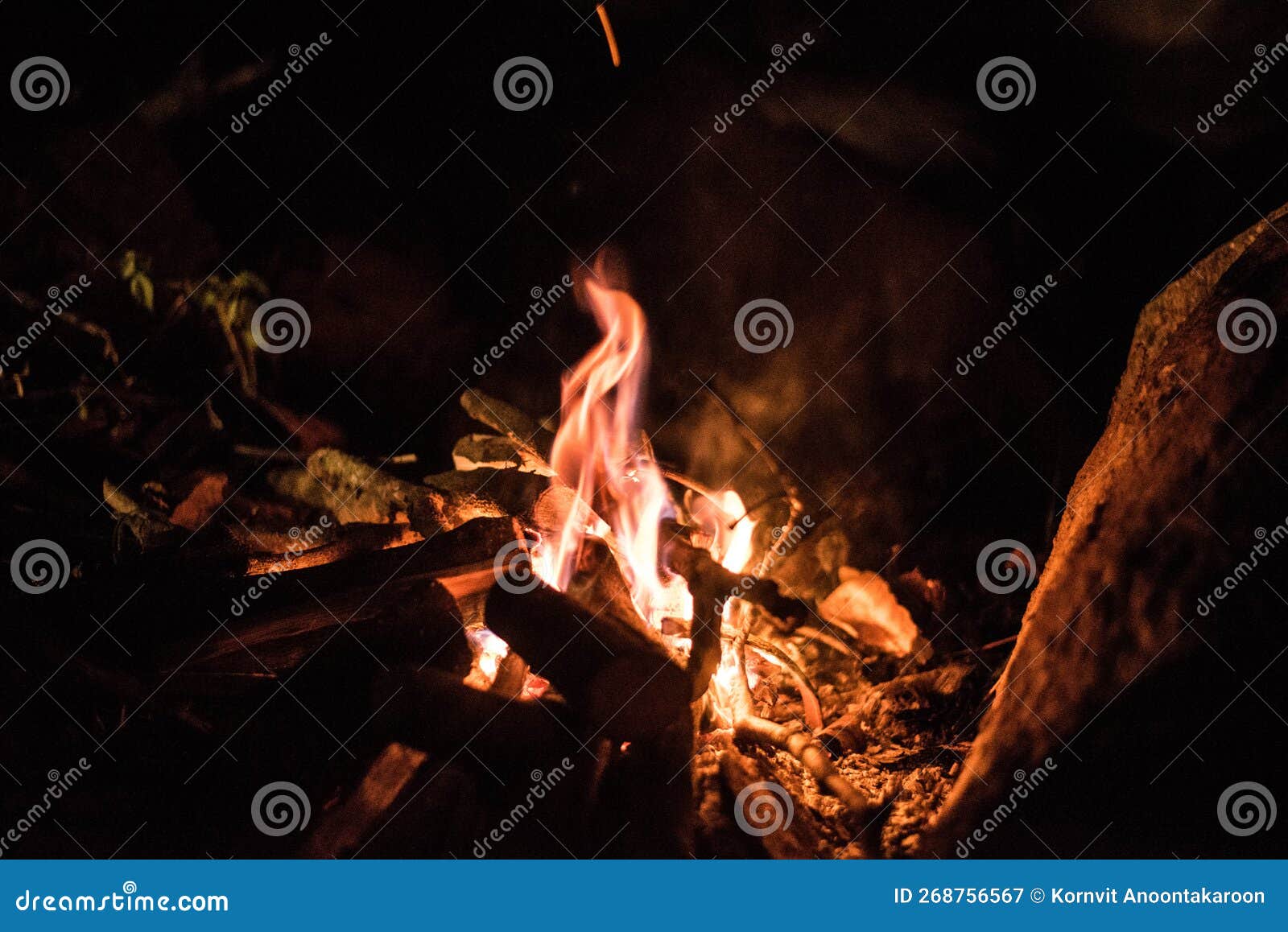 Burning Bonfire stock image. Image of flame, bonfire - 268756567