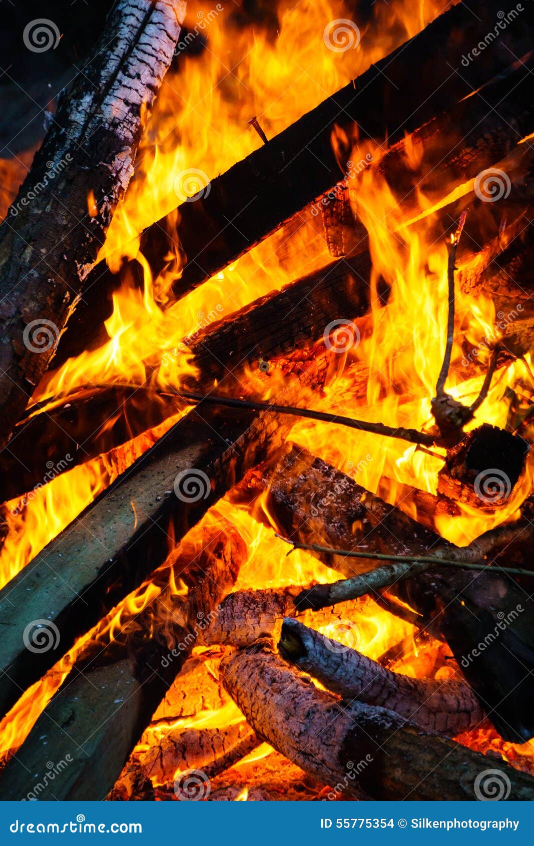 Burning Bonfire stock photo. Image of burn, black, wood - 55775354