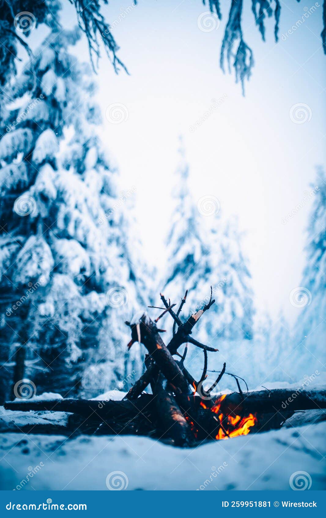 Burning Bonfire in the Frozen Snowy Pine Forest, Vertical Stock Image ...
