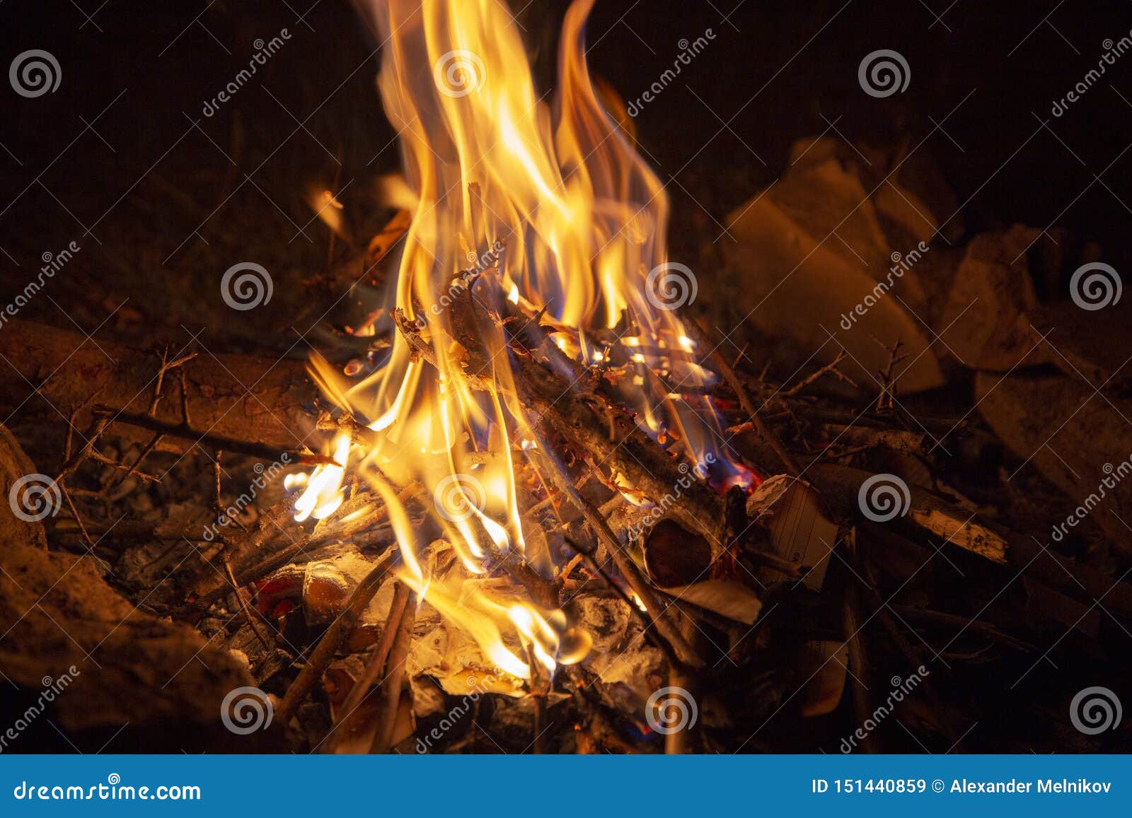 Burning Bonfire at Night in the Forest Stock Image - Image of burn ...