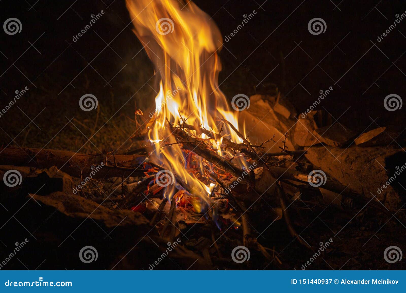 Burning Bonfire at Night in the Forest Stock Image - Image of glow ...