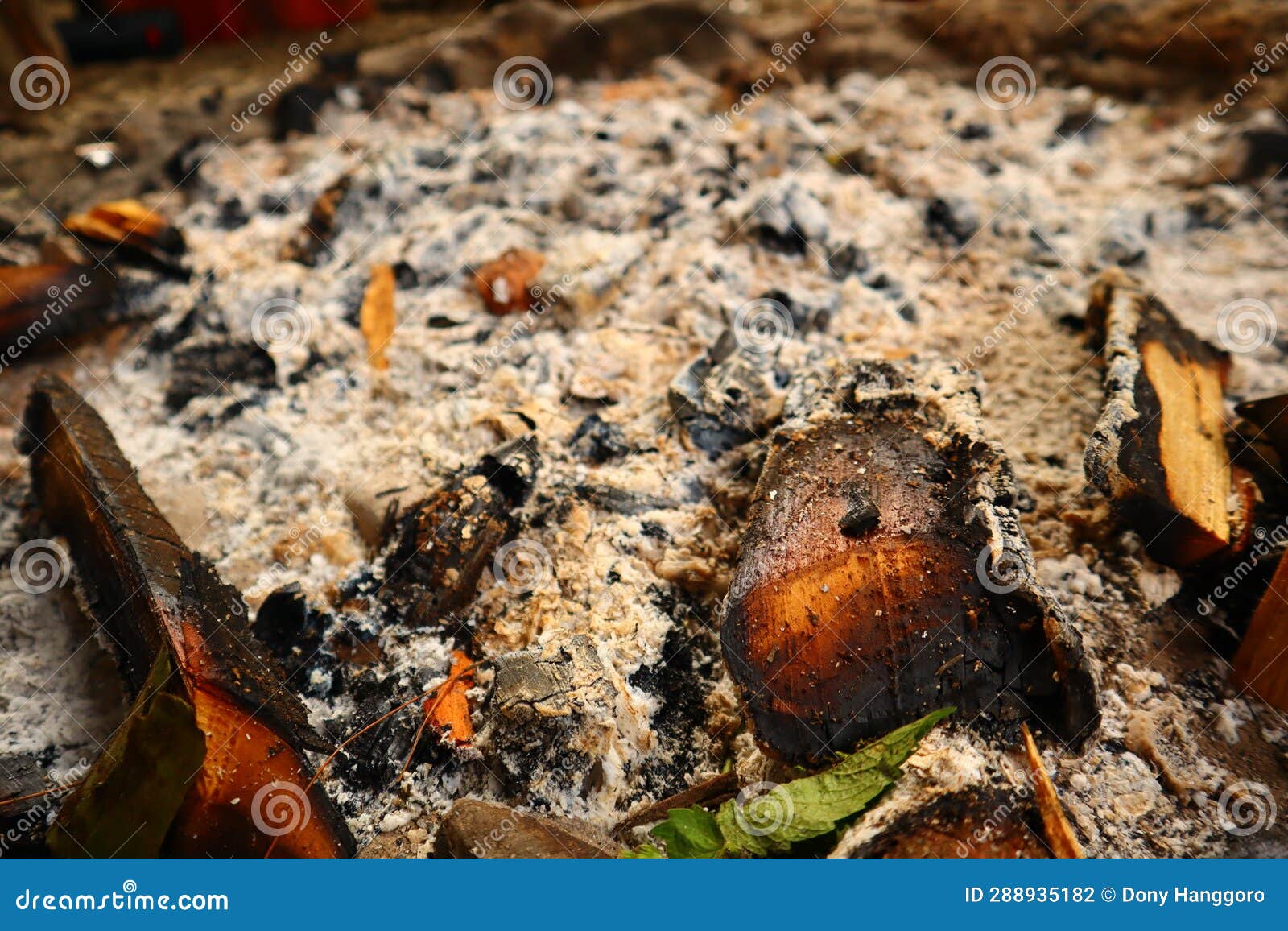 Burning bonfires ash stock photo. Image of carbon, backyard - 288935182