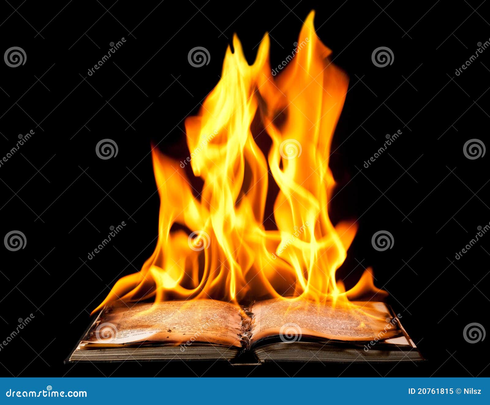 Burning Book On Fire Flames Royalty-Free Stock Photo | CartoonDealer ...