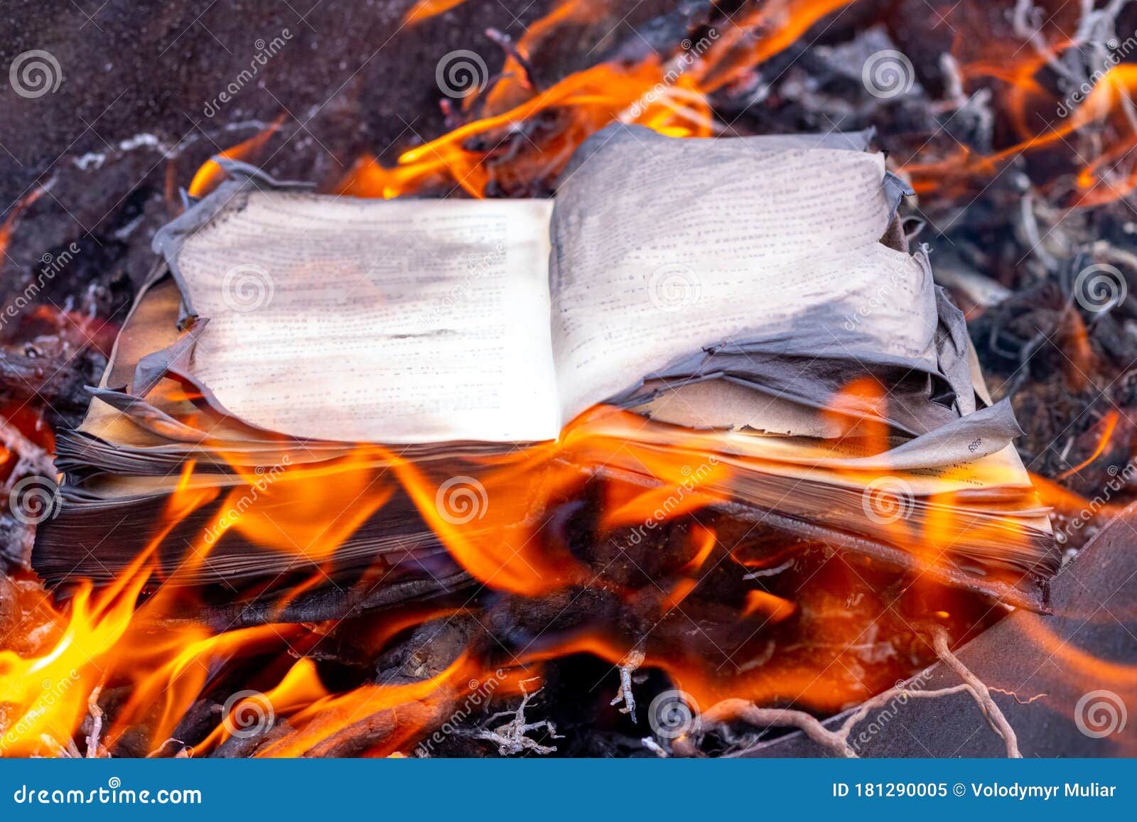 Burning Book. the Inquisition Burns Illicit Books Stock Image - Image ...