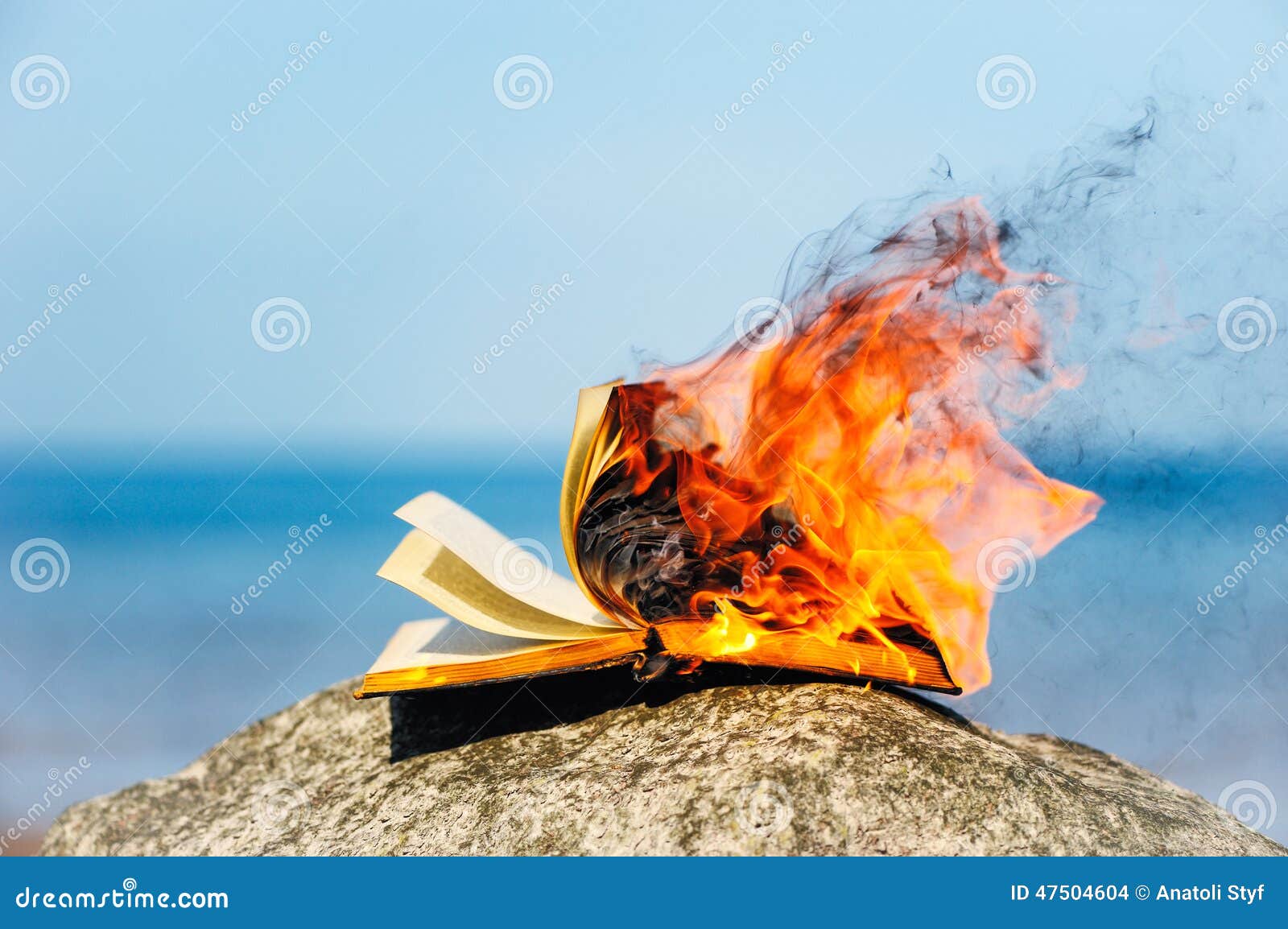 Burning Book On Fire Flames Royalty-Free Stock Photo | CartoonDealer ...