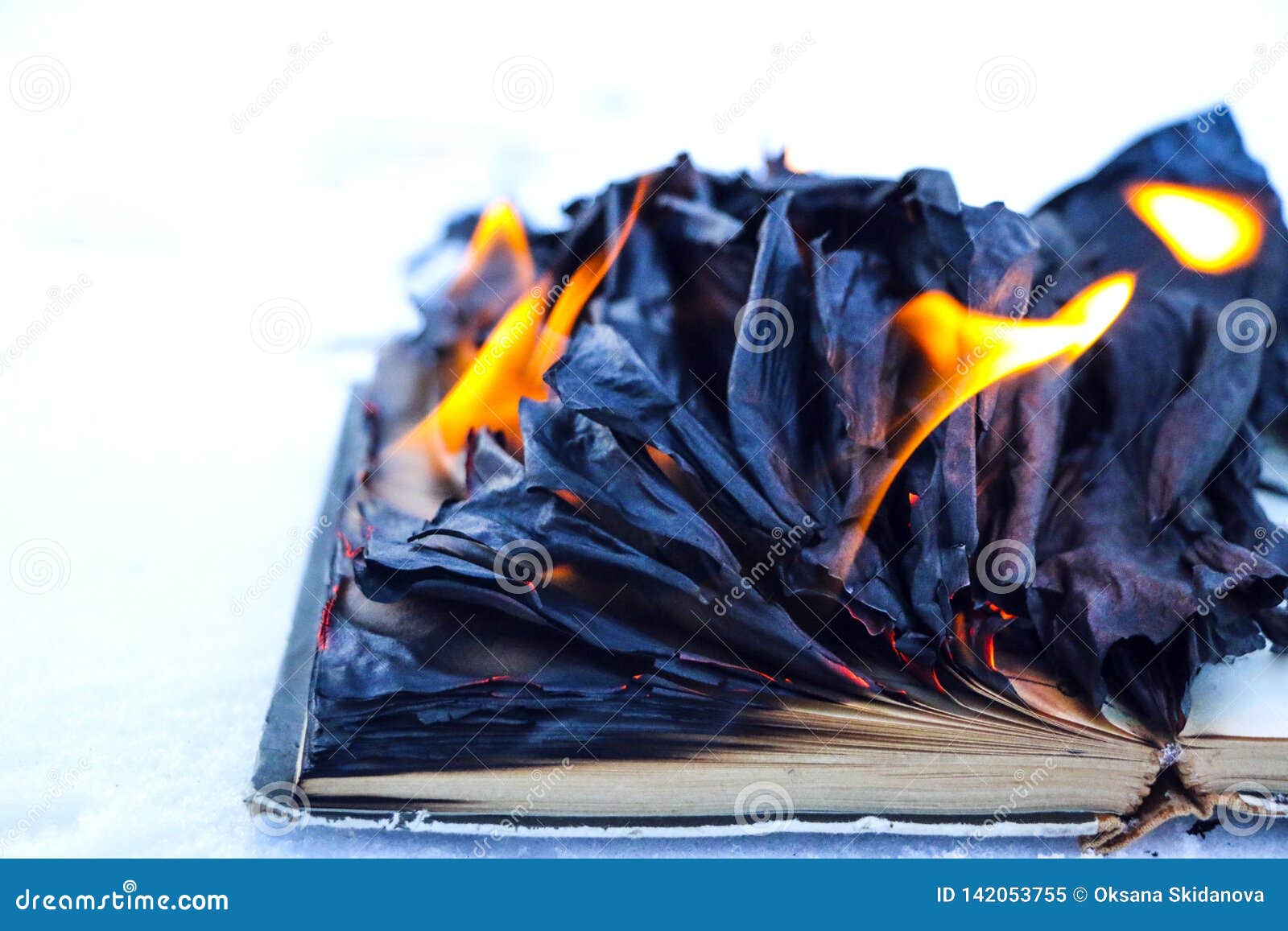 Burning Book in Snow. Pages with the Text in Open Book Burn with Bright ...