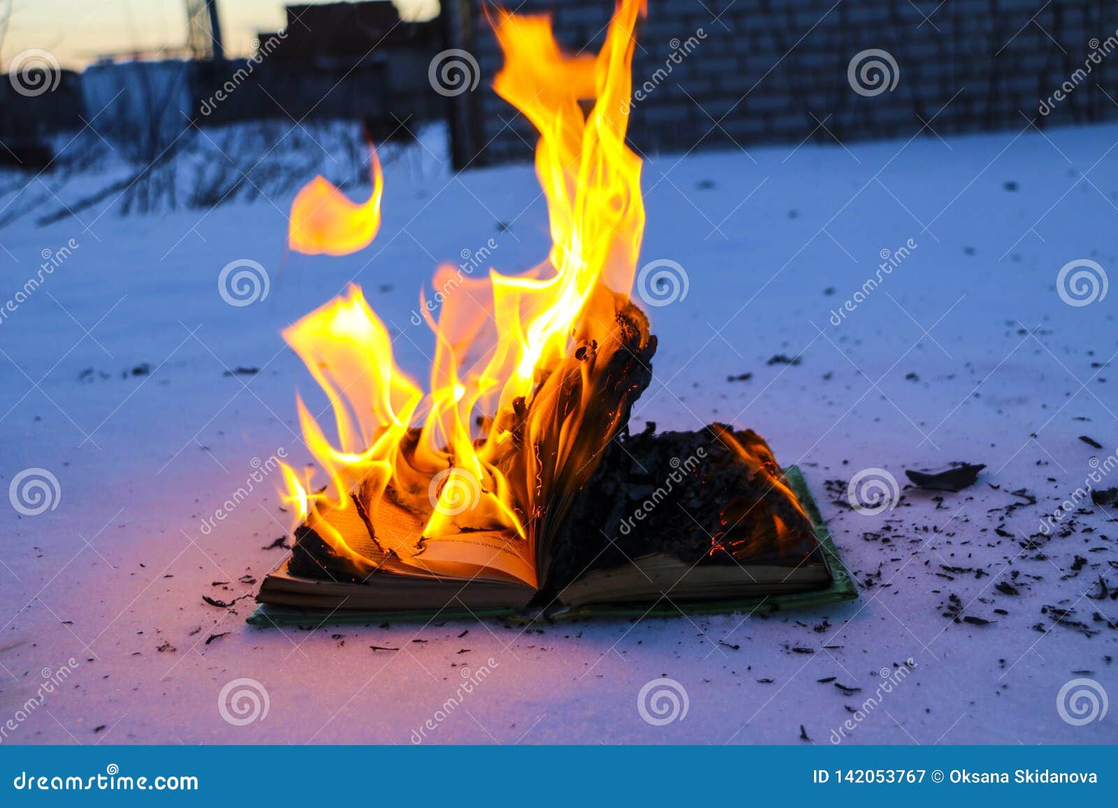 Burning Book in Snow. Pages with the Text in Open Book Burn with Bright ...