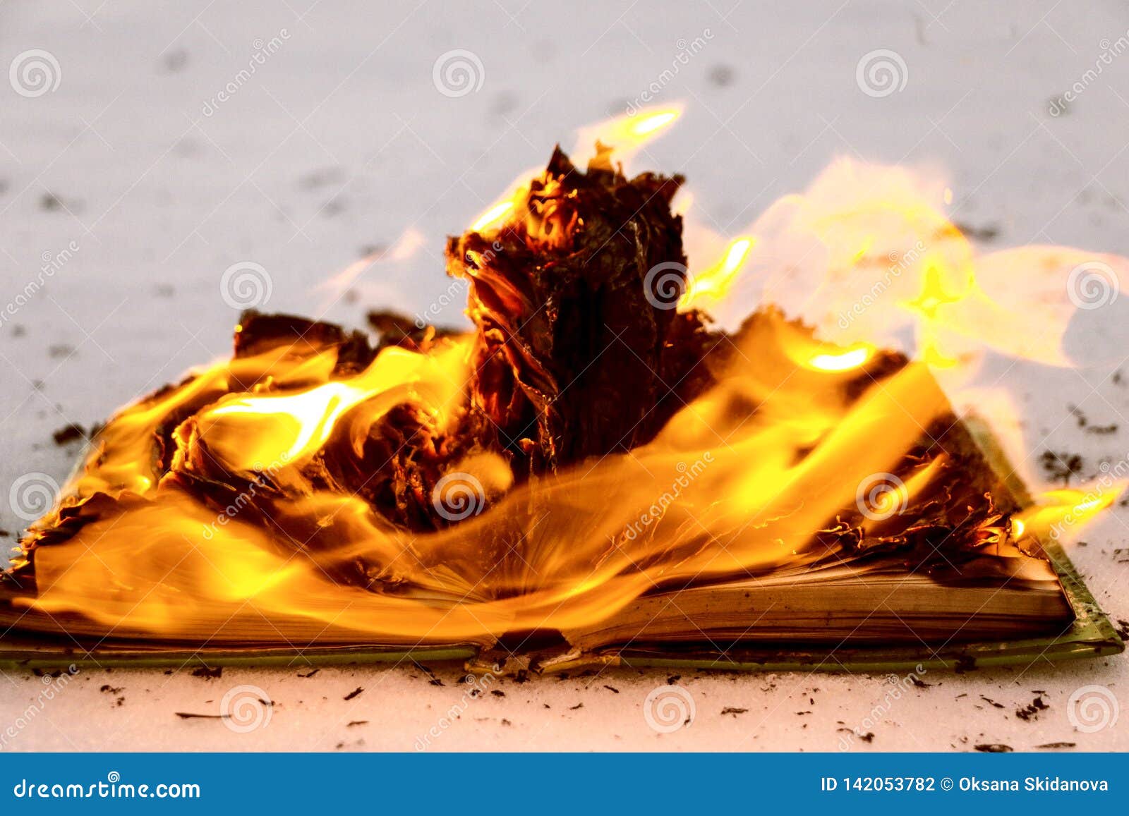 Burning Book in Snow. Pages with the Text in Open Book Burn with Bright ...