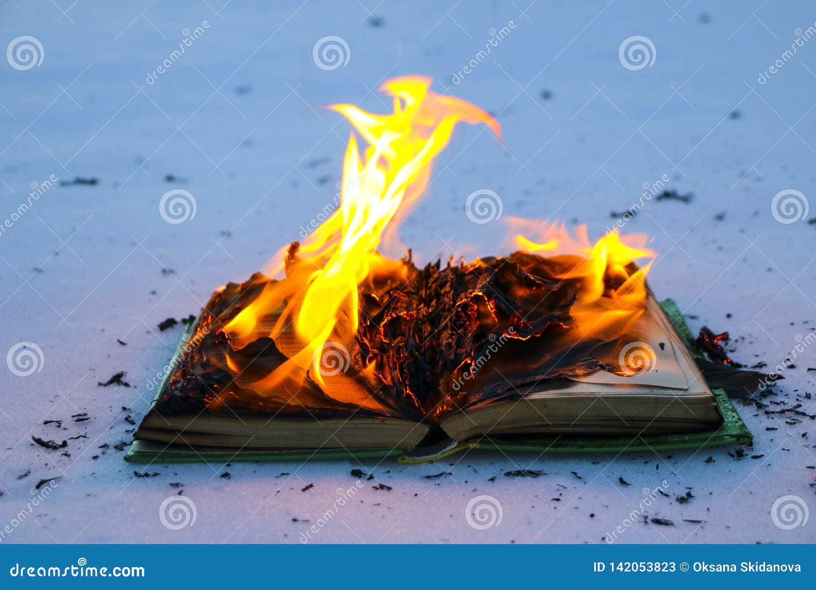 Burning Book On Fire Flames Royalty-Free Stock Photo | CartoonDealer ...