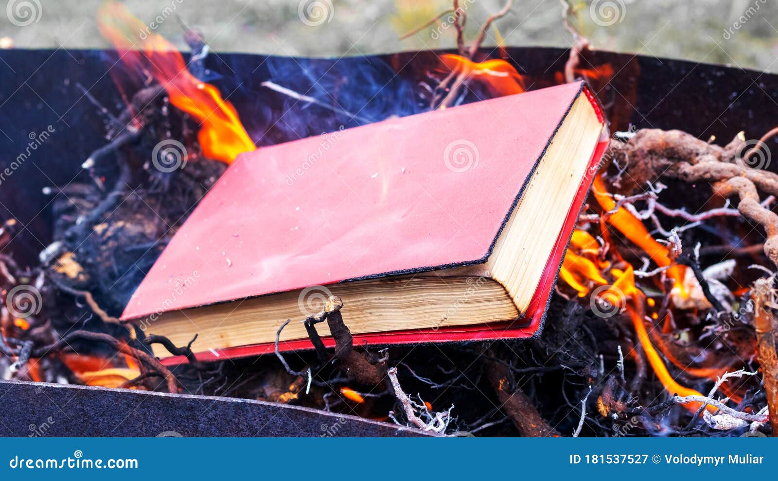 Burning Books. a Book on a Fire Stock Image - Image of flames, blazing ...