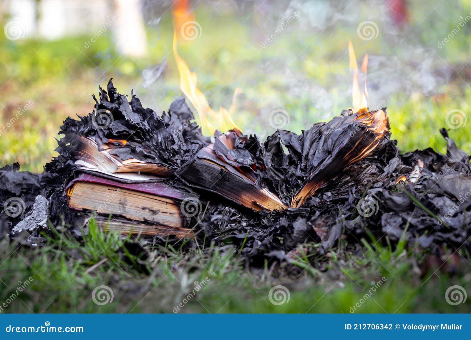 Burning Books. Books Burn on the Fire among the Ashes Stock Photo ...
