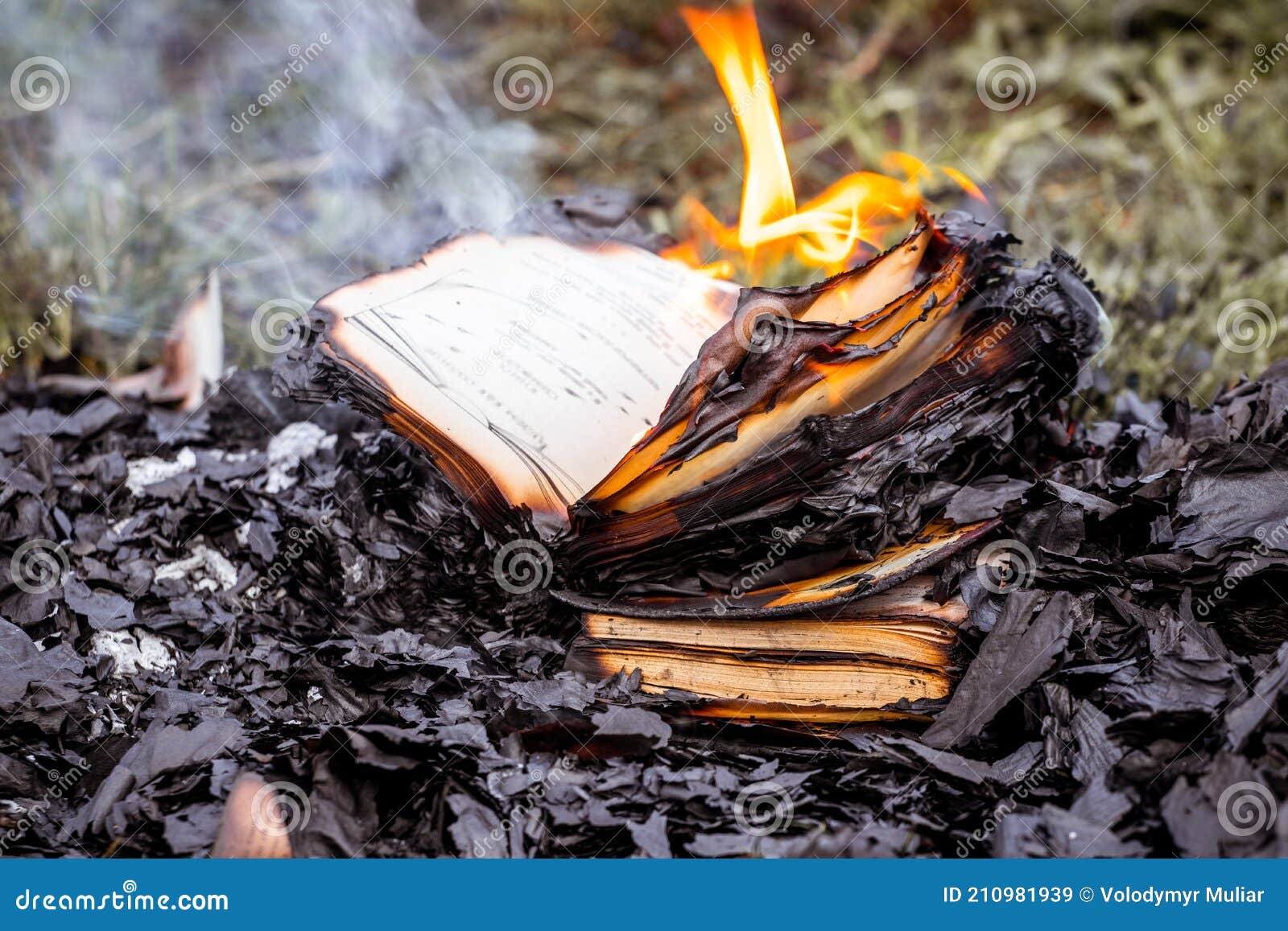 Burning Books on the Fire, Burning Books among the Ashes Stock Image ...
