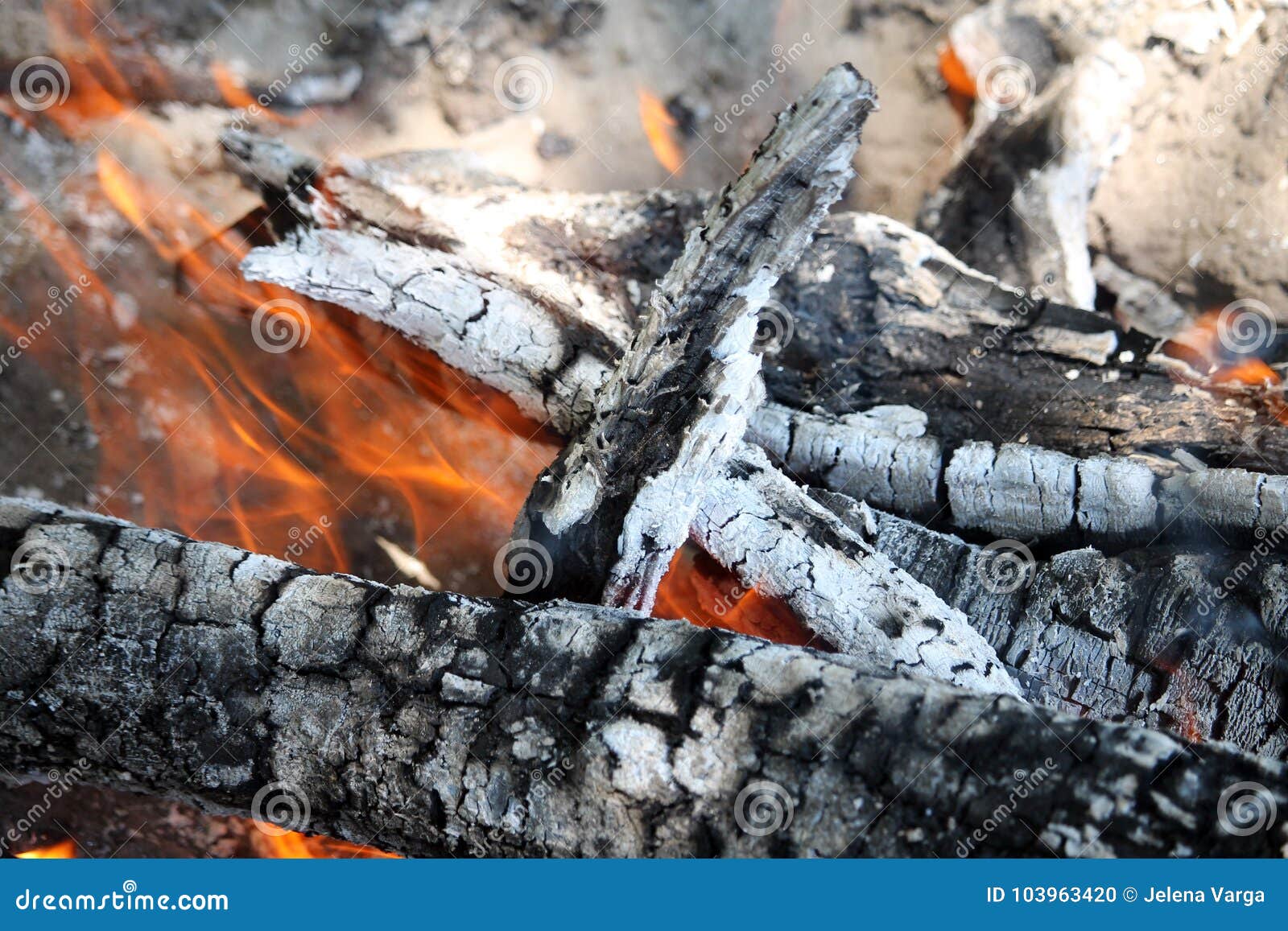 Burning branches stock photo. Image of black, light - 103963420