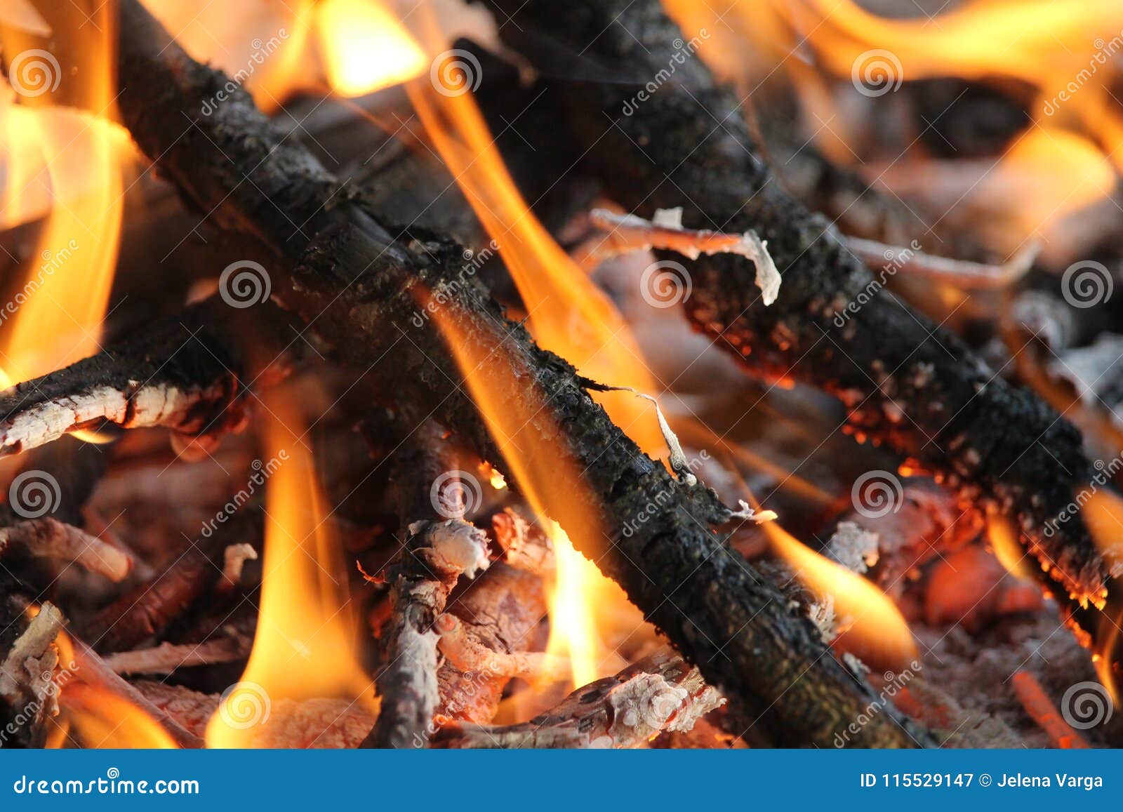 Burning branches stock image. Image of ecology, natural - 115529147