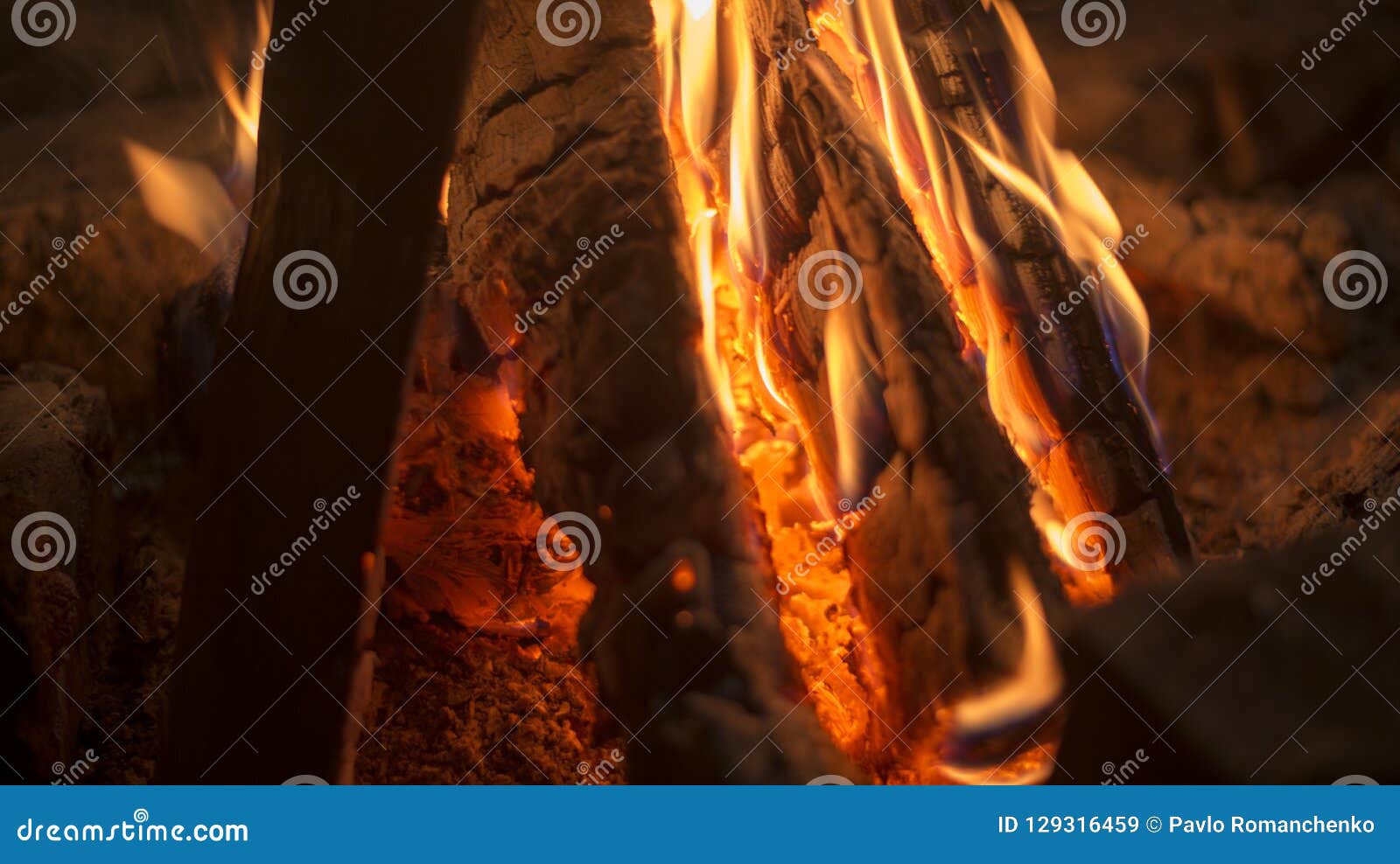 Burning Branches of Trees in the Fire at Night, Close-up Stock Image ...