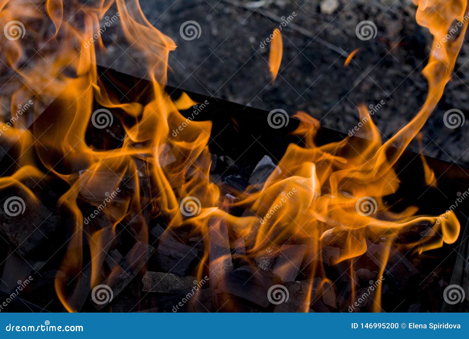 Burning Bright Fire Close-up Burning Fire in the Grill Stock Photo ...