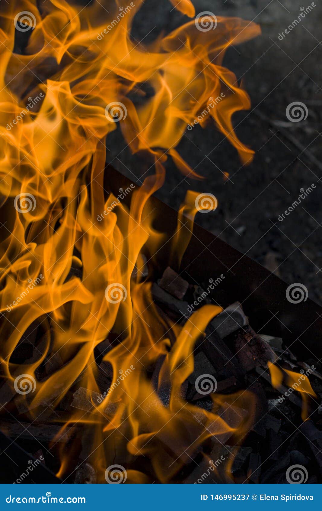 Close-up Burning Fire in the Grill Stock Image - Image of environment ...