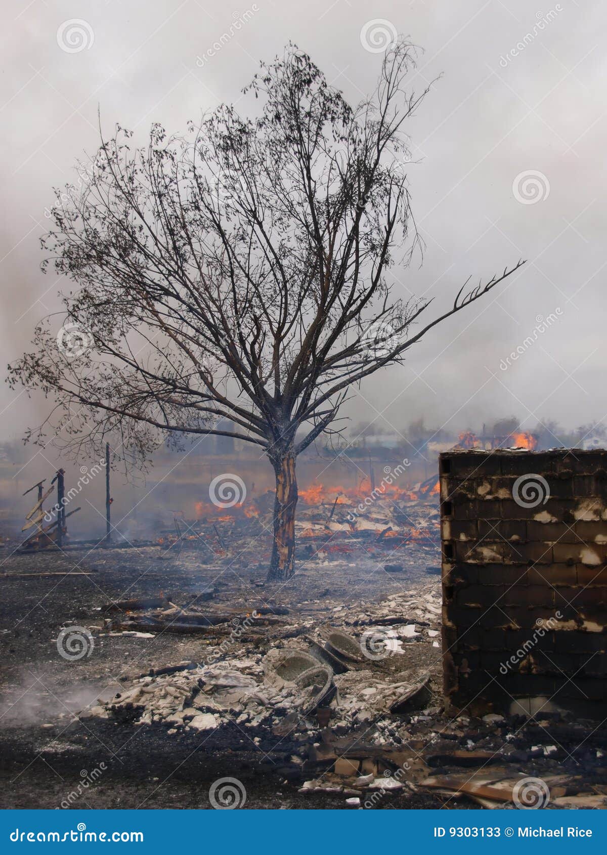 Burning Building stock image. Image of destroy, disaster - 9303133