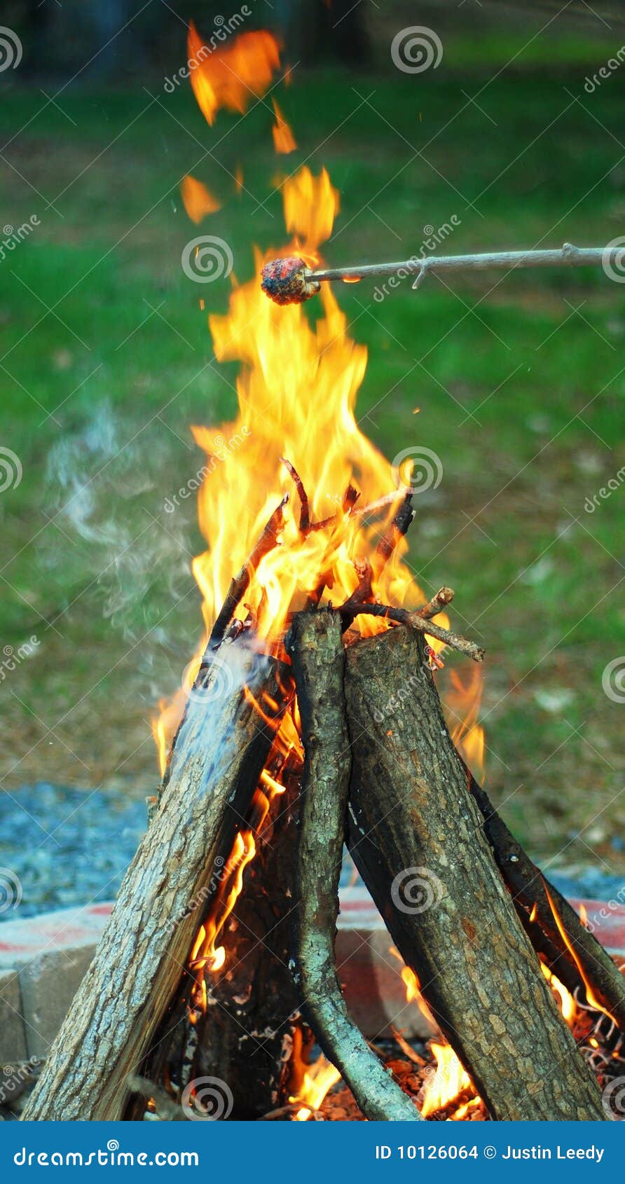 Burning campfire stock photo. Image of fire, camping - 10126064