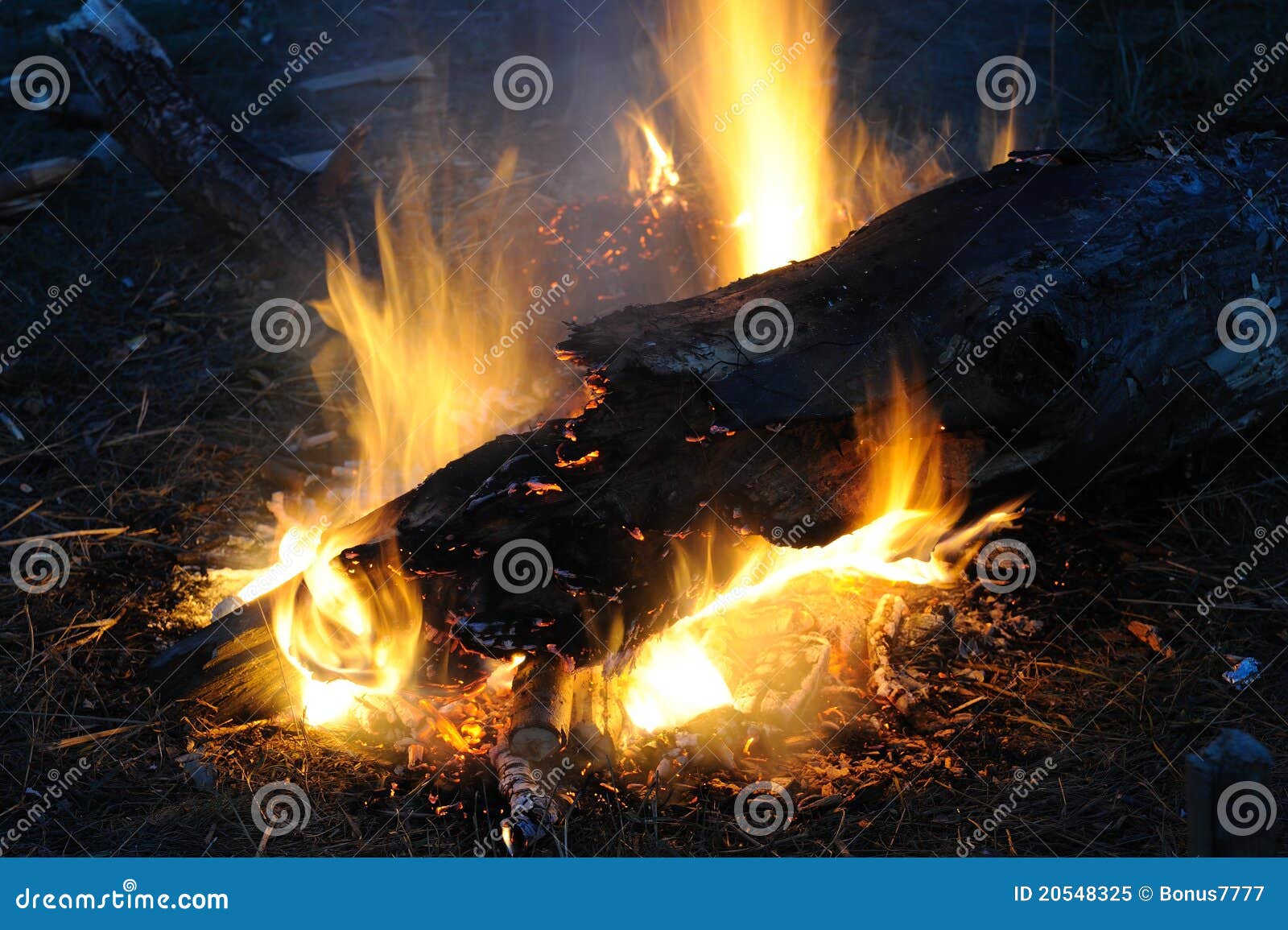 Burning campfire stock image. Image of heat, nature, dark - 20548325