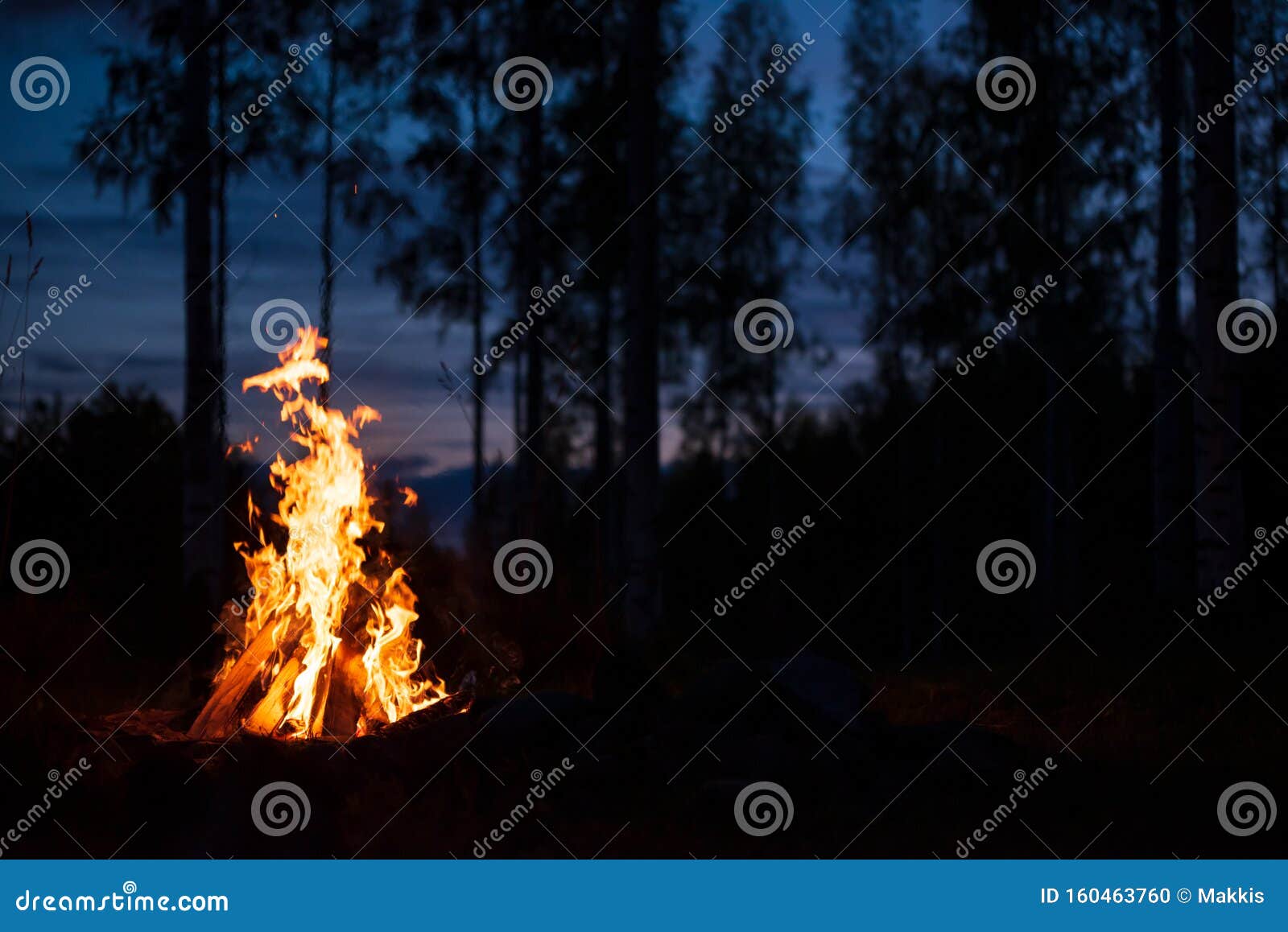 Burning Campfire on a Dark Night in a Forest Stock Photo - Image of ...