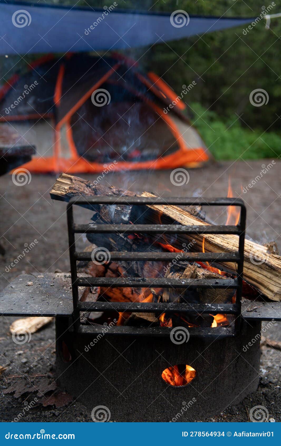 Burning Campfire in Front of a Tent Set Up for Camping in the Forest ...