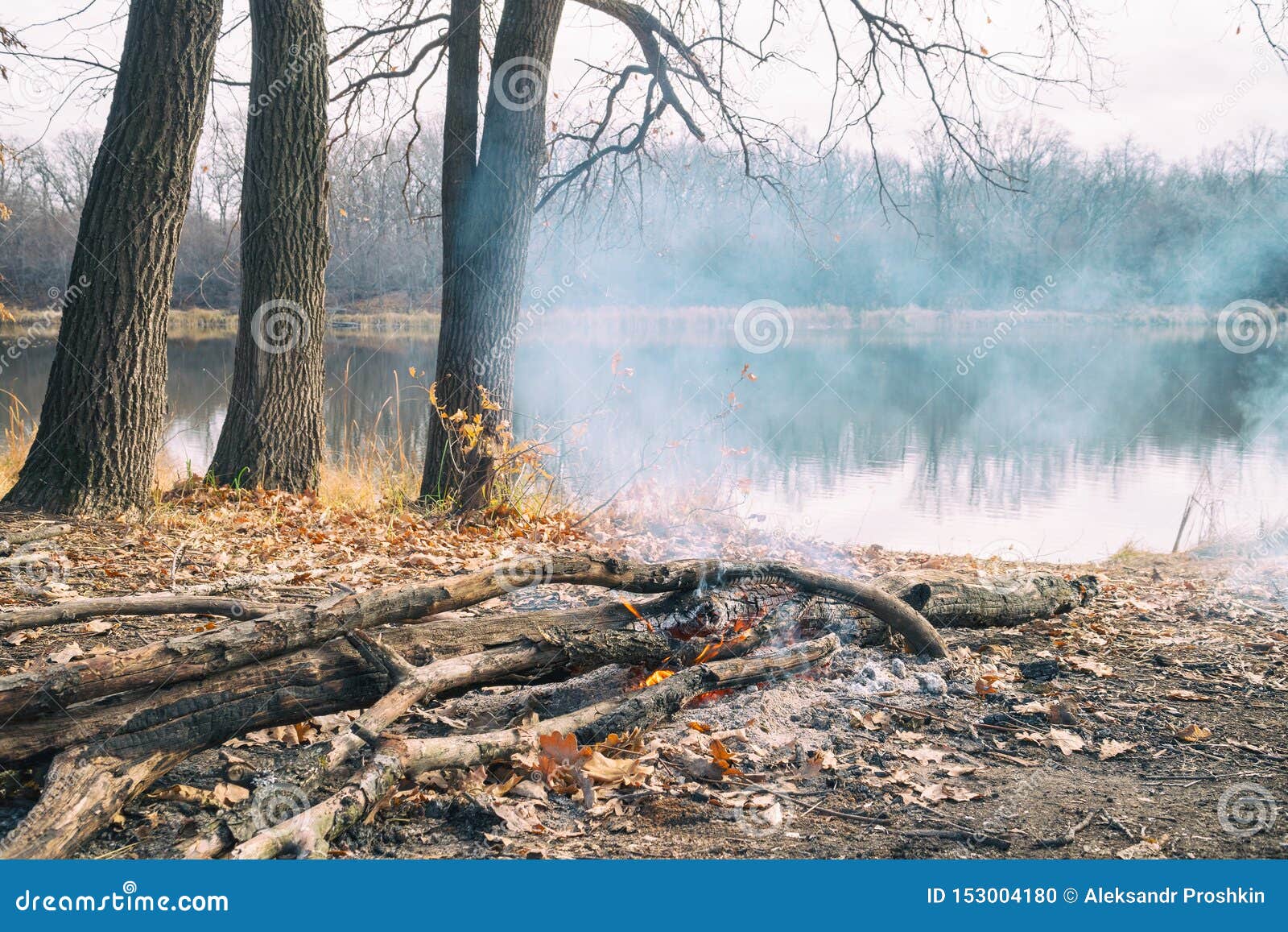 Burning Campfire on Shore of an Autumn Forest Lake Stock Photo - Image ...