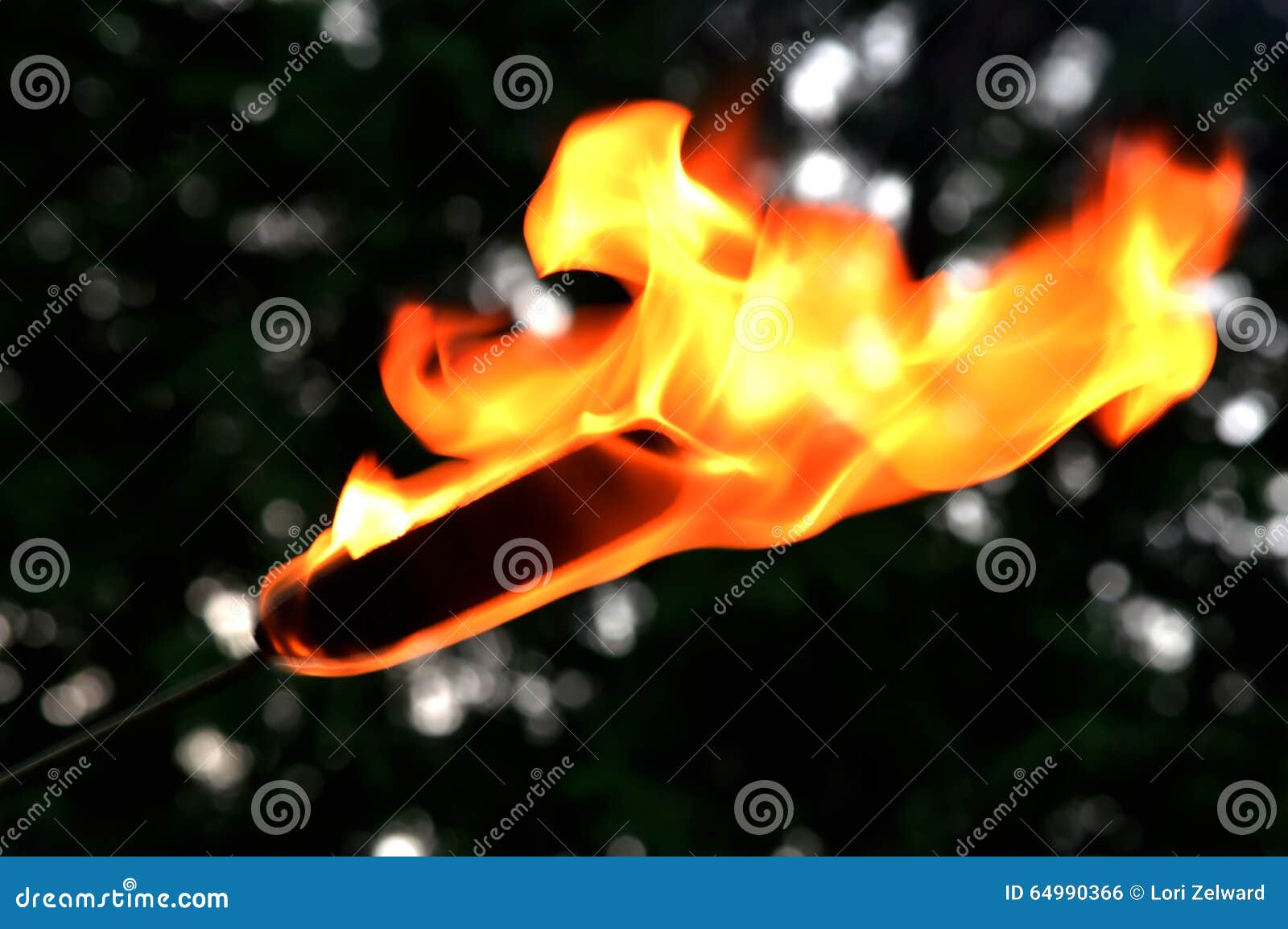 Burning Cattail stock photo. Image of brilliant, detail - 64990366