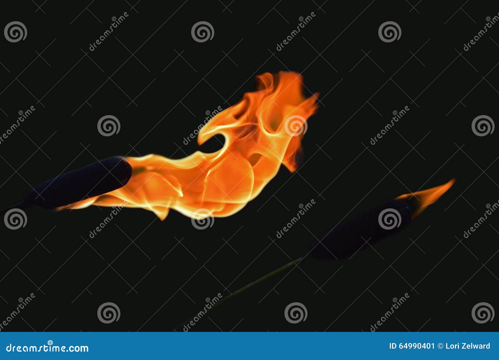 Burning Cattail stock image. Image of cattail, fiery - 64990401