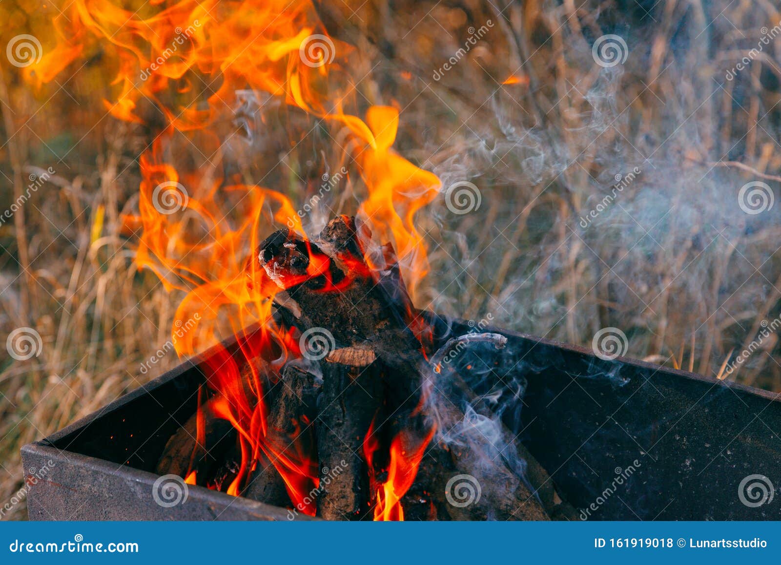 Burning Charcoal in the Fire for Barbecue. Close-up Stock Photo - Image ...