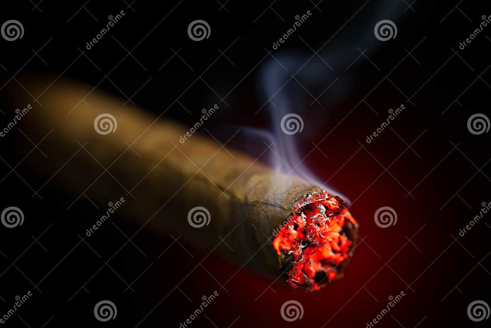 Burning cigar stock photo. Image of burning, light, macro - 37739378