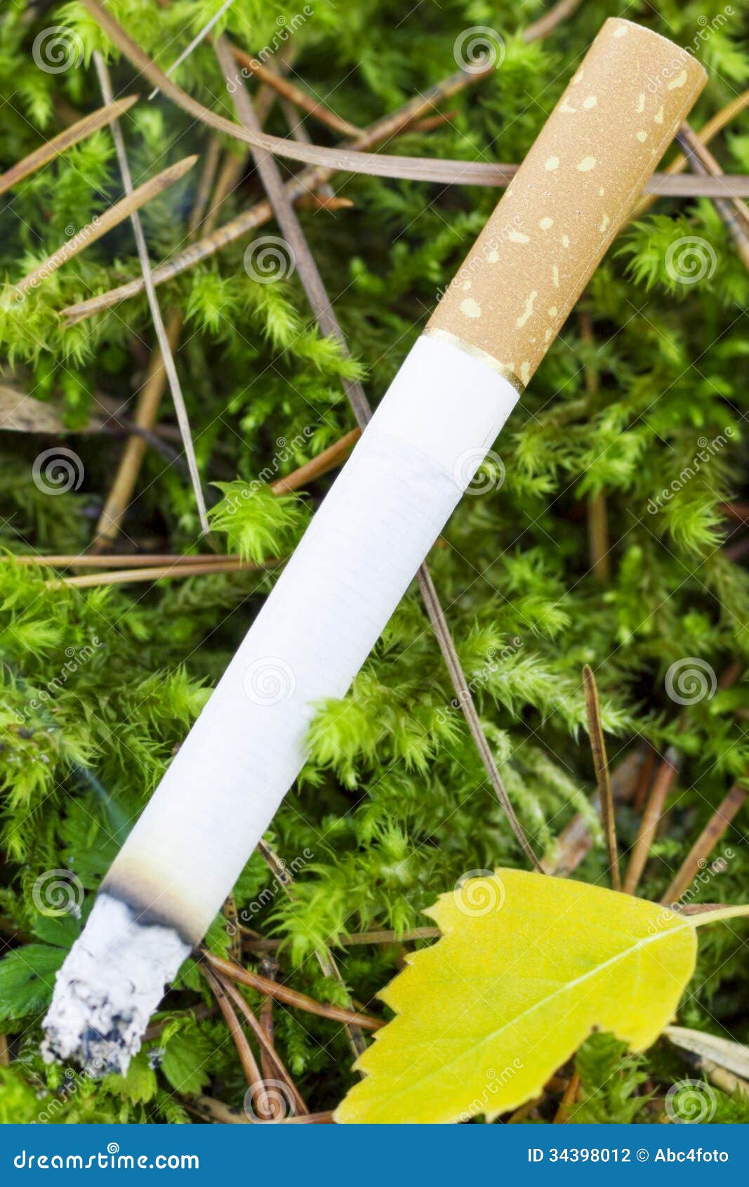 Burning Cigarette on Forest Moss Stock Photo - Image of filter, fire ...