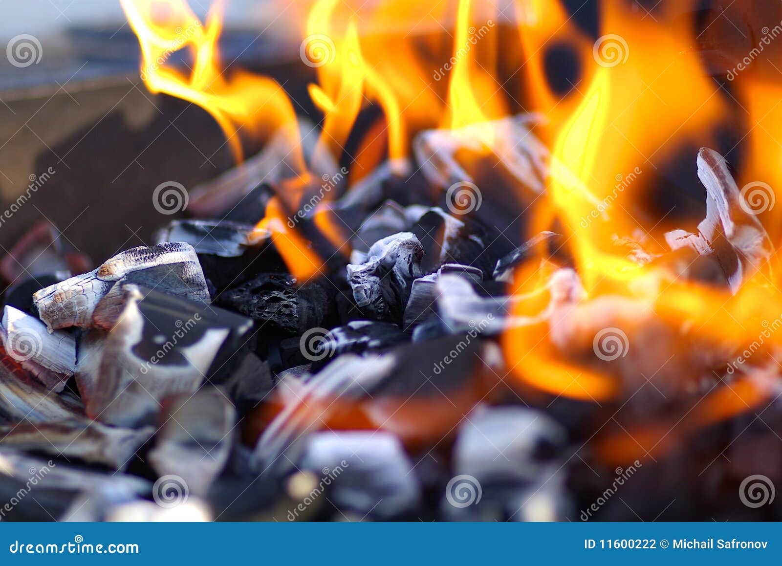 Burning coal stock photo. Image of tree, horizontal, coal - 11600222
