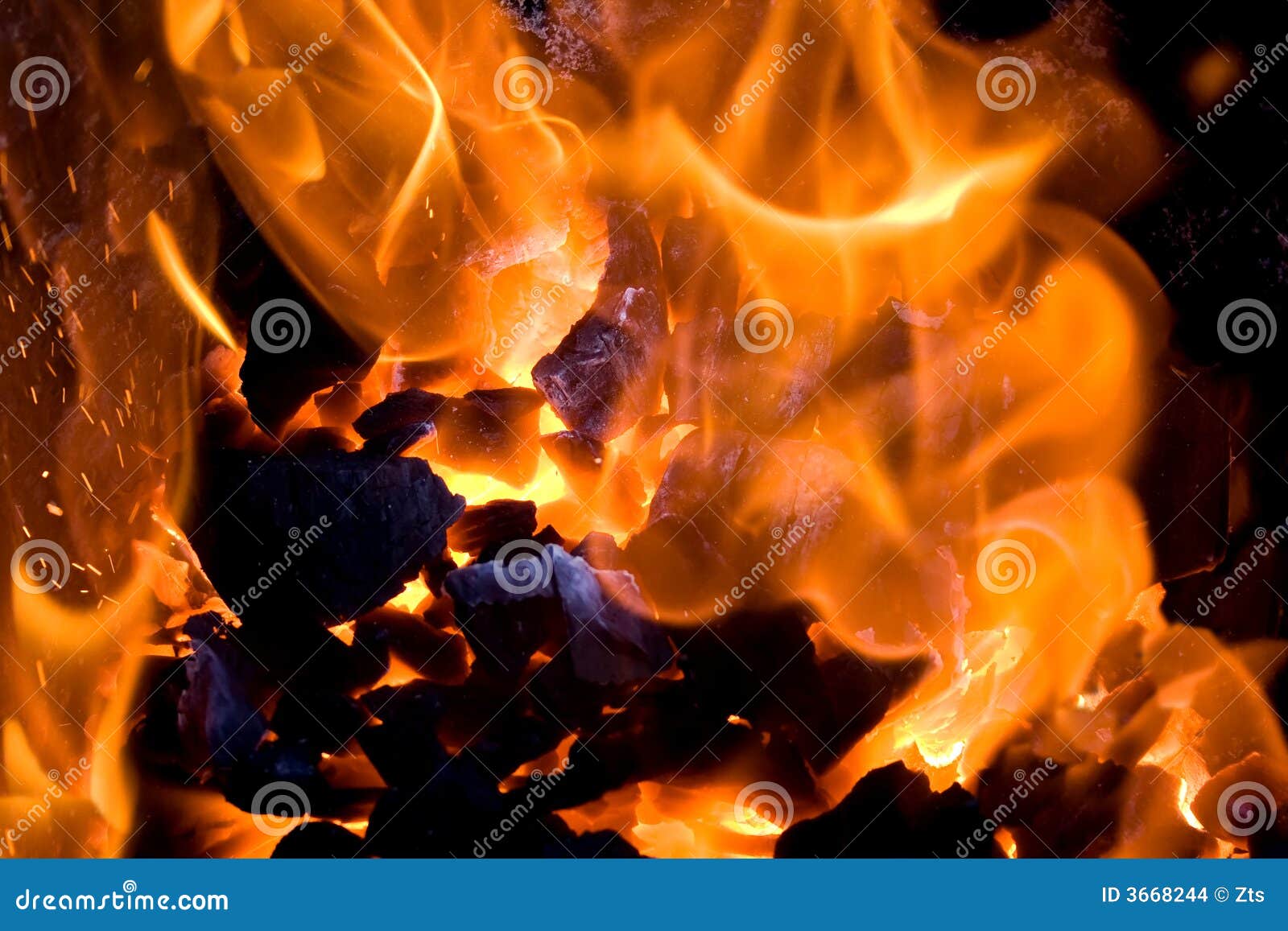 Burning coal stock photo. Image of flames, orange, combustion - 3668244