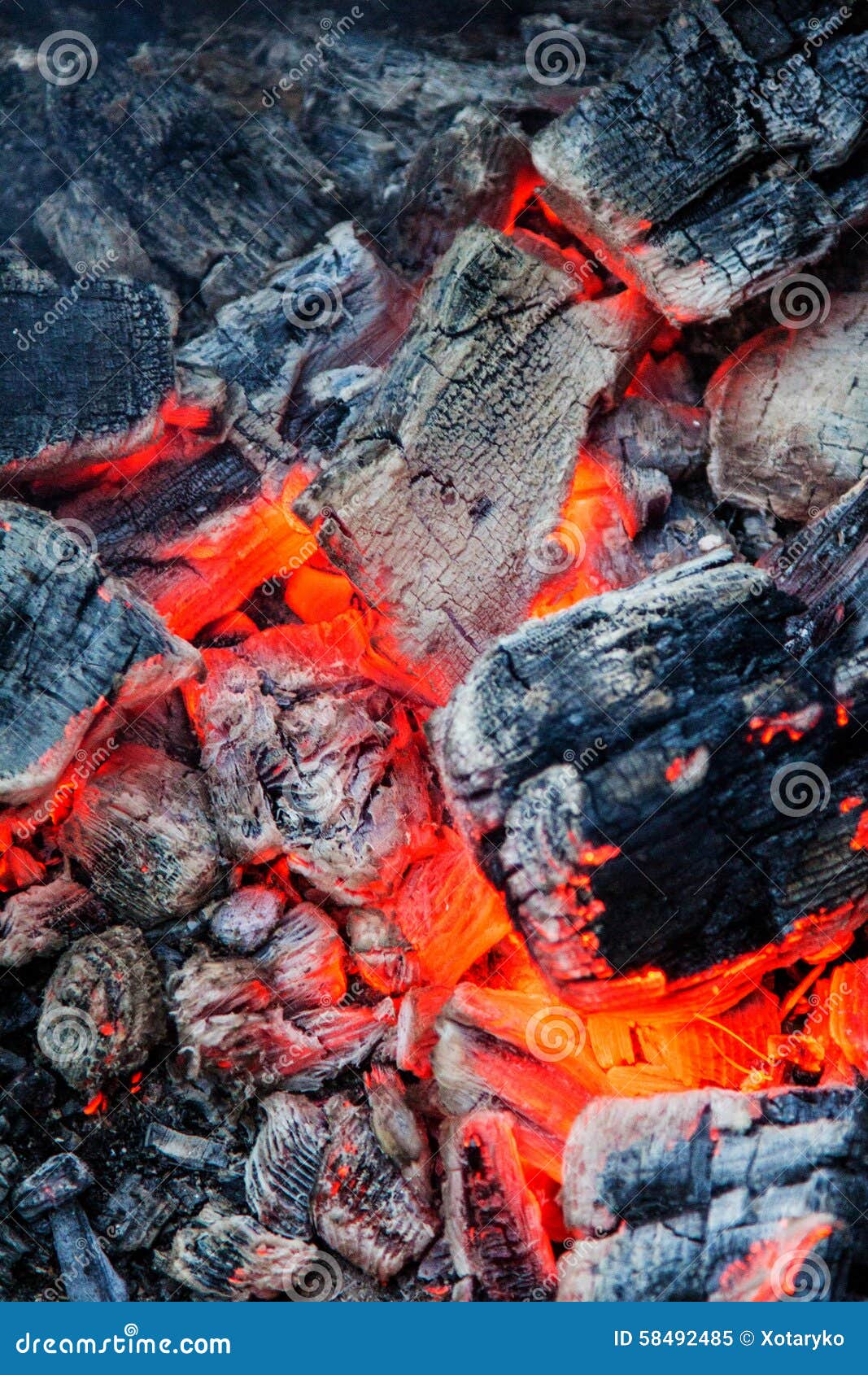 Burning coal stock image. Image of coal, grill, flames - 58492485