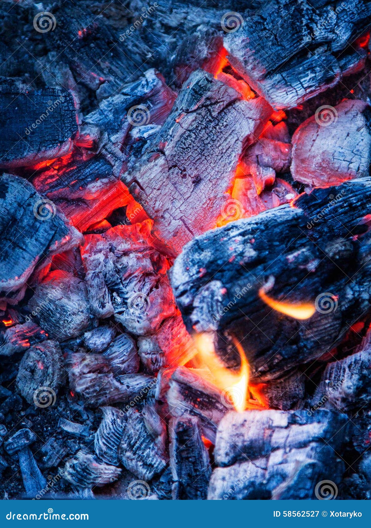 Burning coal stock image. Image of ember, flames, fire - 58562527