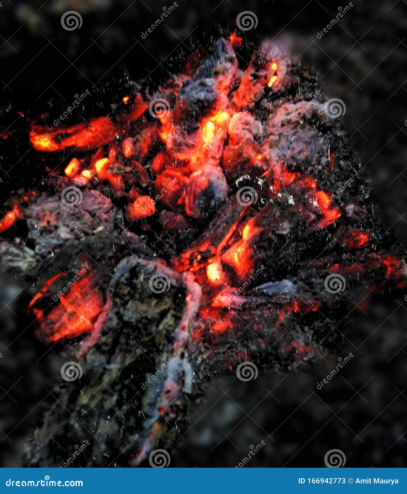 Burning Coal with glowing stock image. Image of burning - 166942773