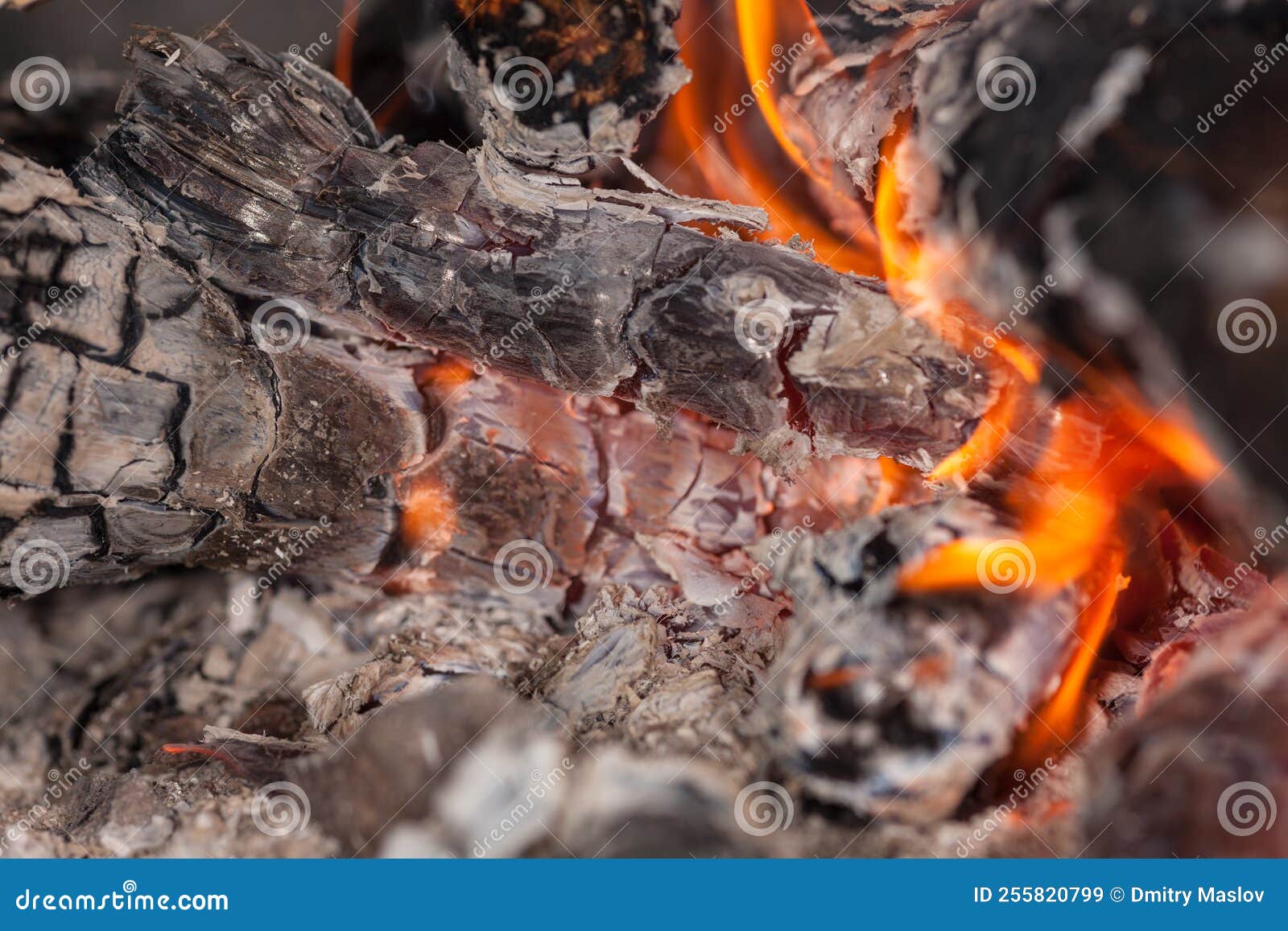 Burning Coals of a Campfire Stock Image - Image of fire, closeup: 255820799