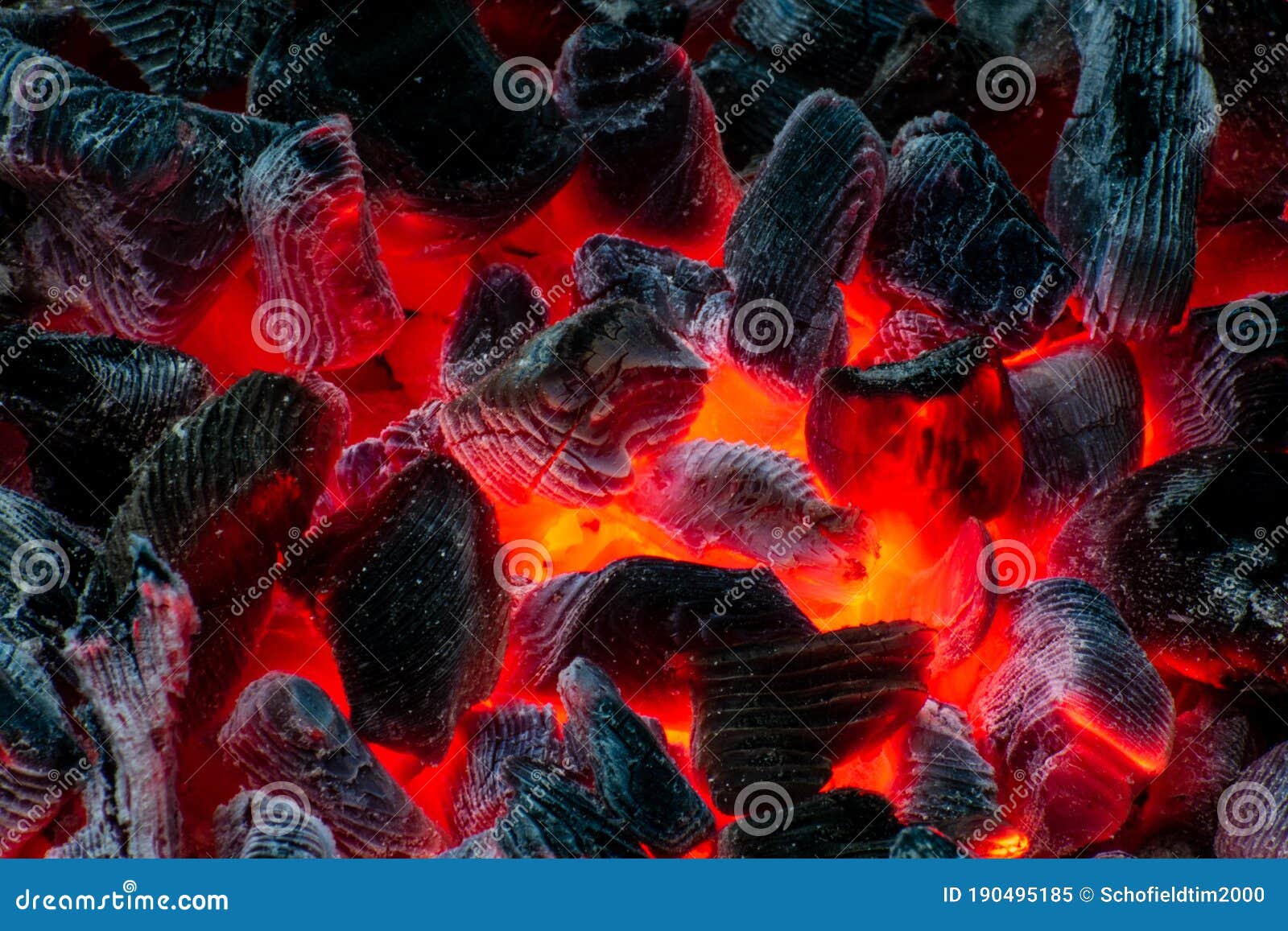 Burning Coals in Campfire stock image. Image of campfire - 190495185