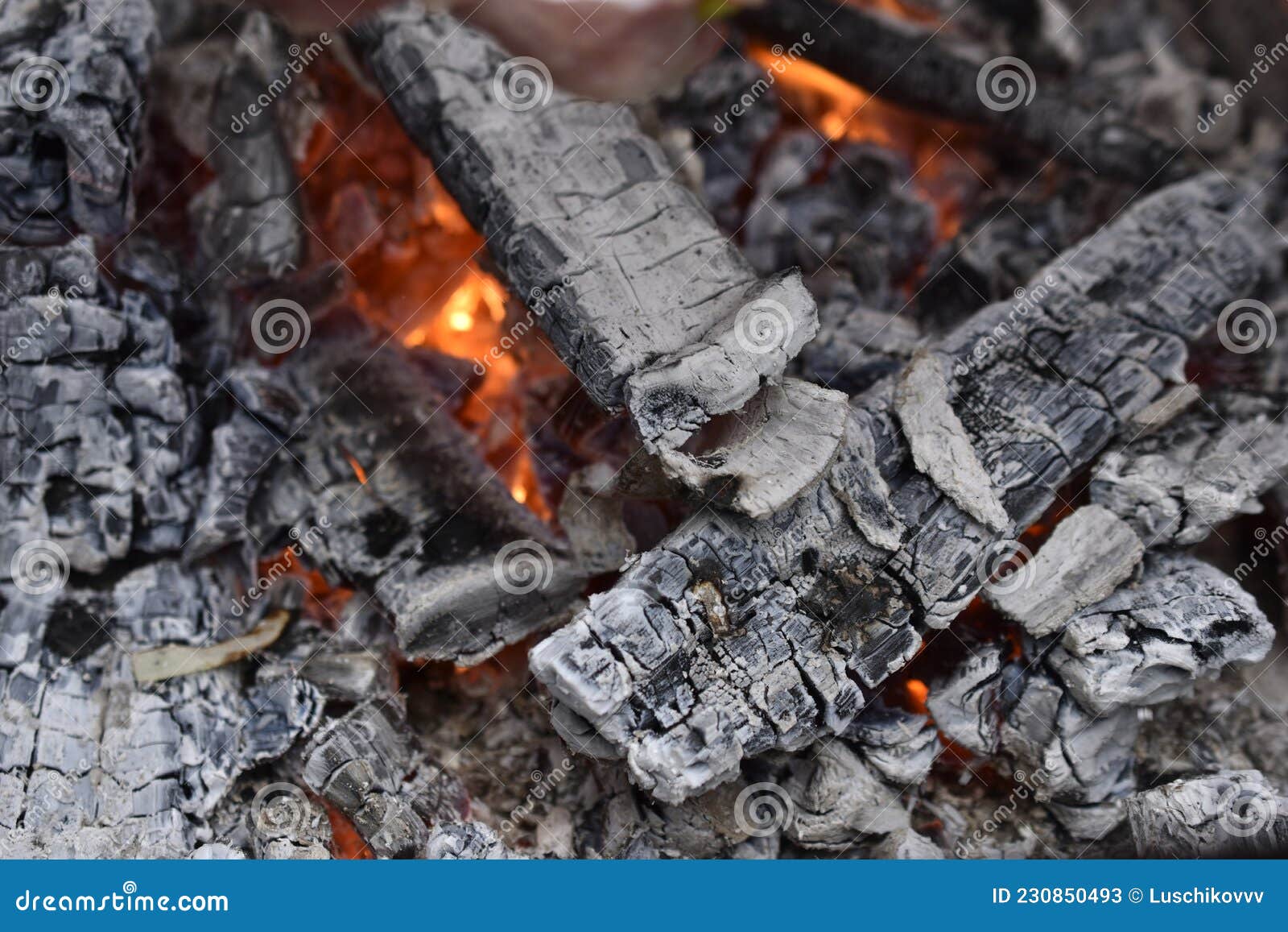 Burning Coals in a Fire with Flames Stock Image - Image of fire, cook ...
