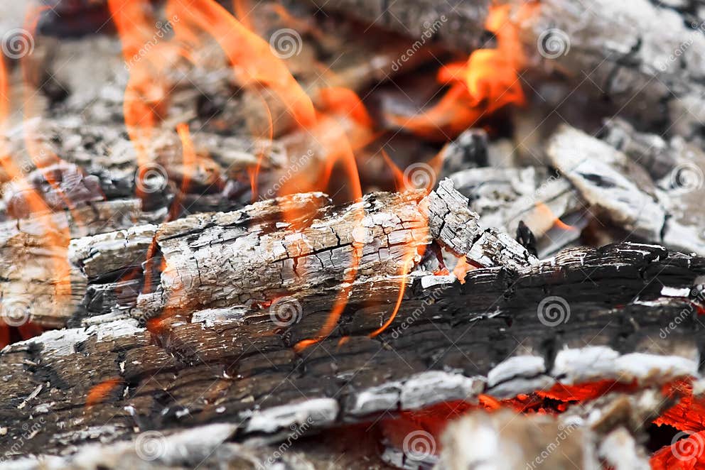 Burning Coals with a White Ash and Red Flames Stock Photo - Image of ...