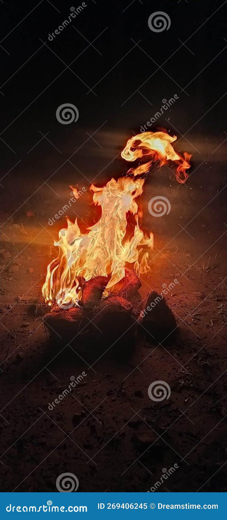 Burning coconut shells stock image. Image of night, fire - 269406245
