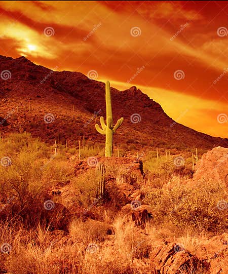 Burning Desert stock image. Image of trail, climate, summer - 5723895